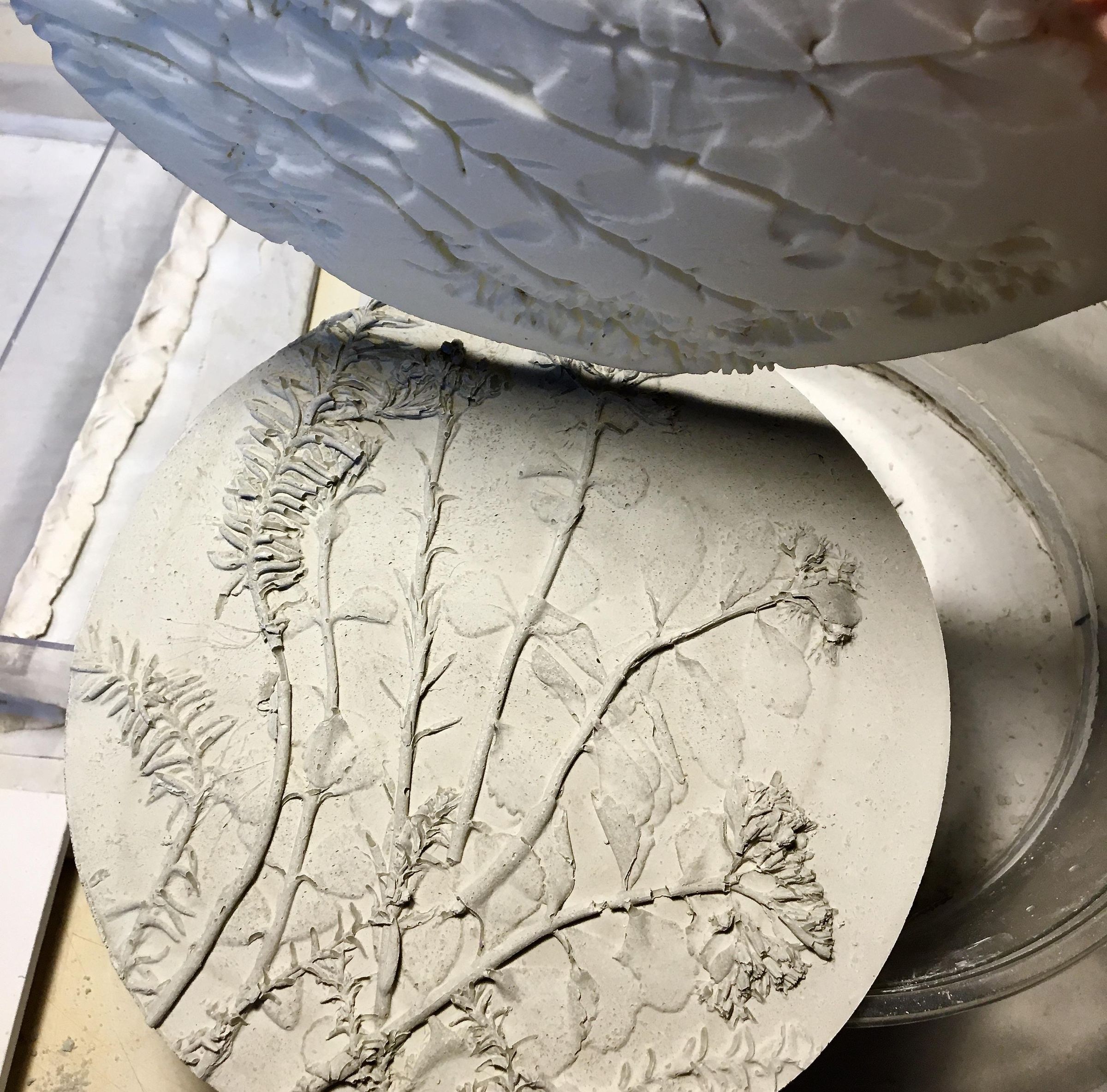 Concrete Relief-Cast Botanical Specimens : 6 Steps (with Pictures ...