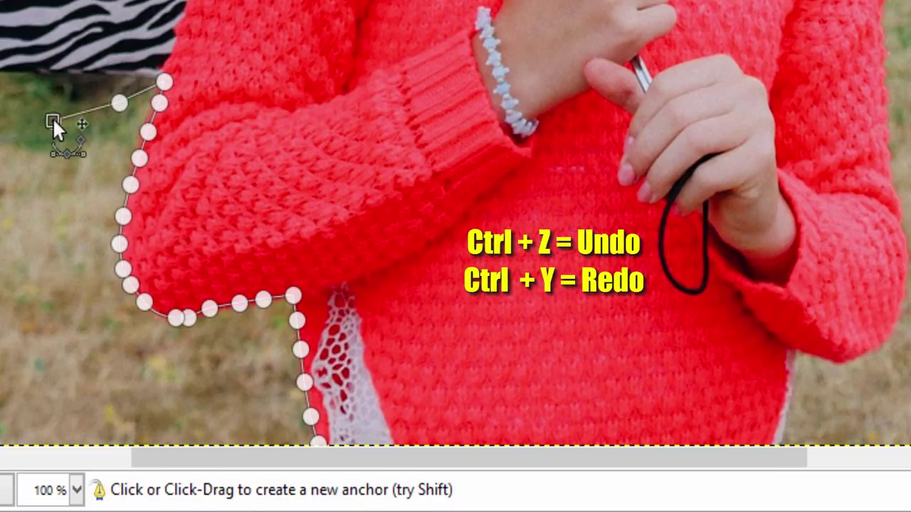 How to Remove Background of the Image Using GIMP (Path Tool) : 5 Steps - Instructables