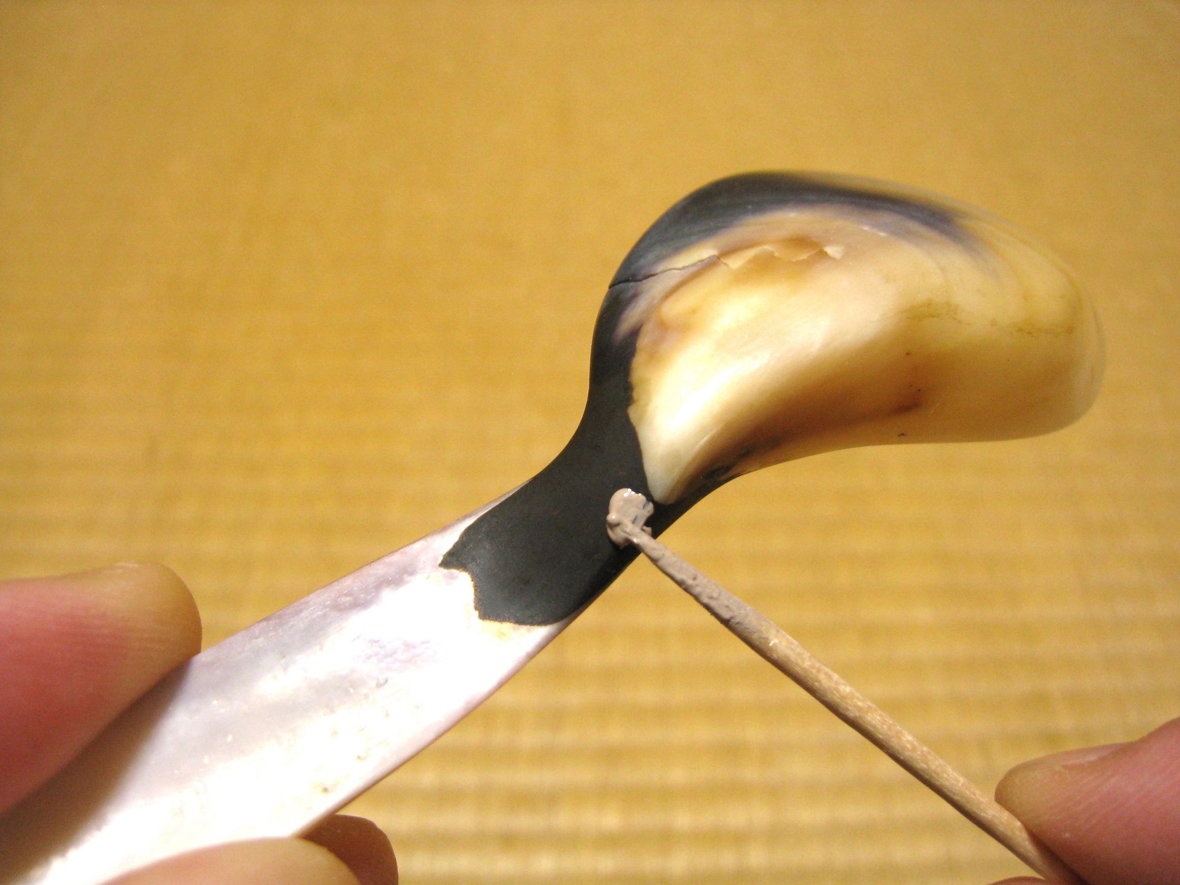 Chinese Soup Spoon Making Out of Mussel : 6 Steps - Instructables