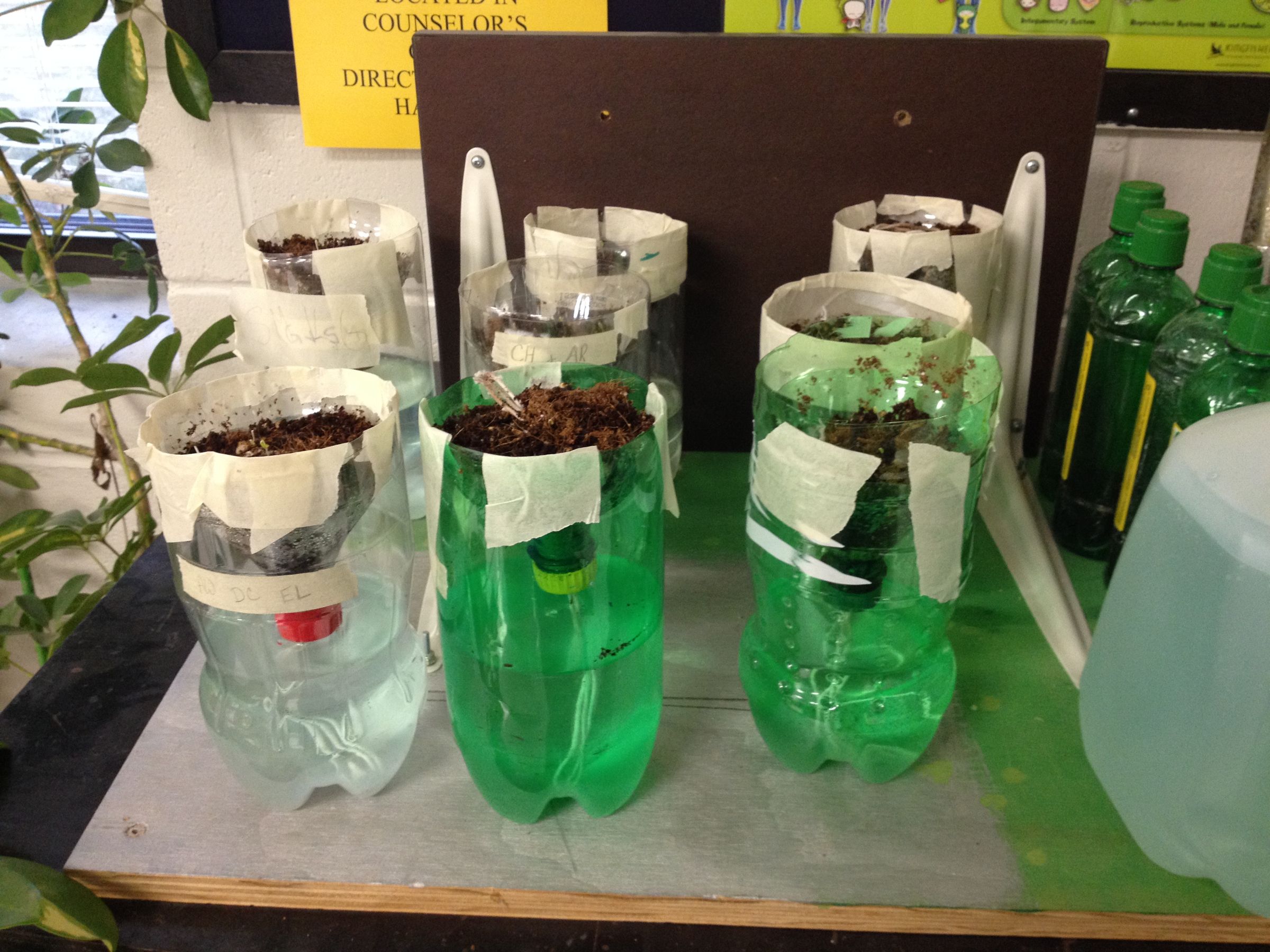 Simple Hydroponics Wick System : 6 Steps (with Pictures) - Instructables