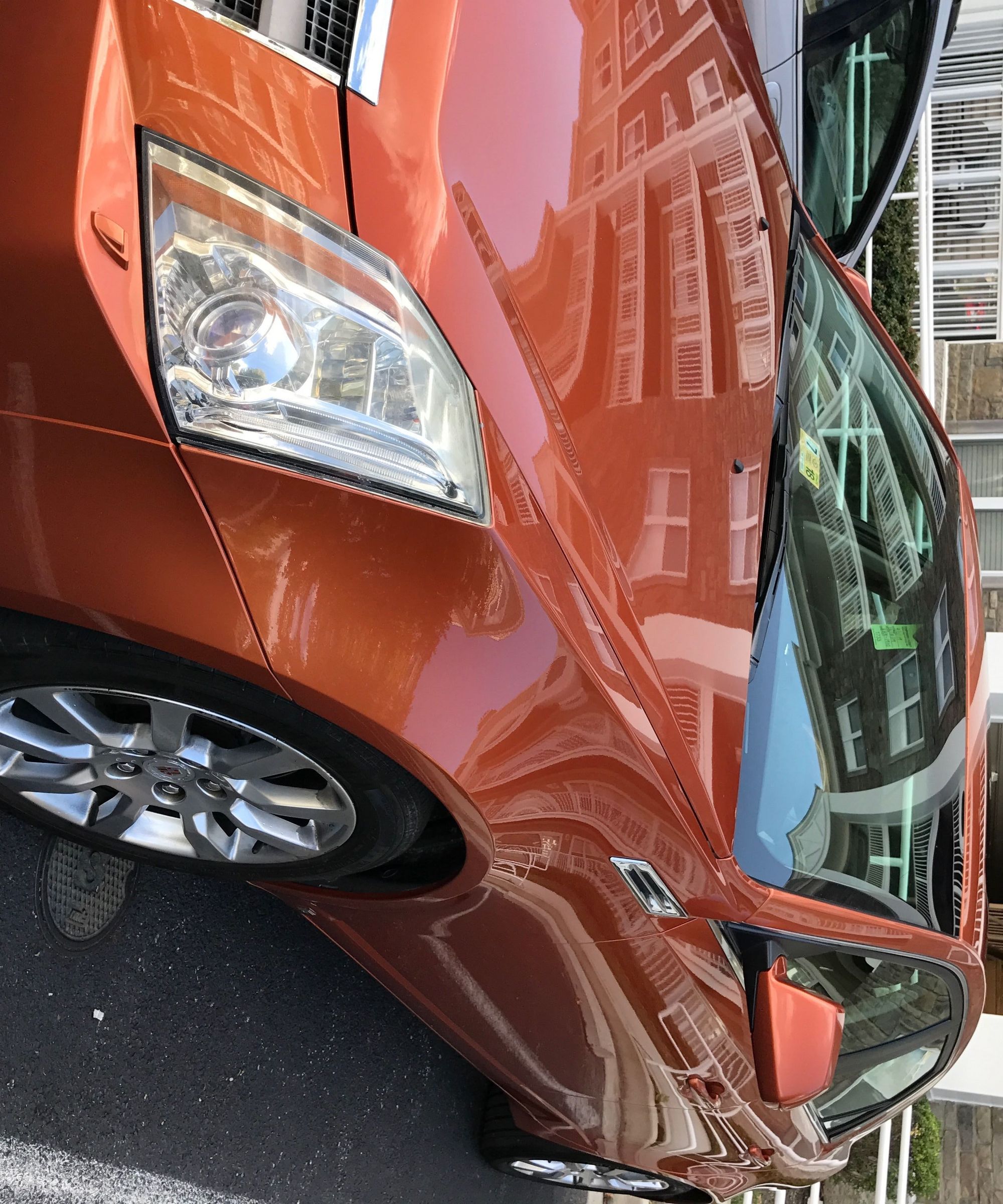 Professionally Detailed Cars