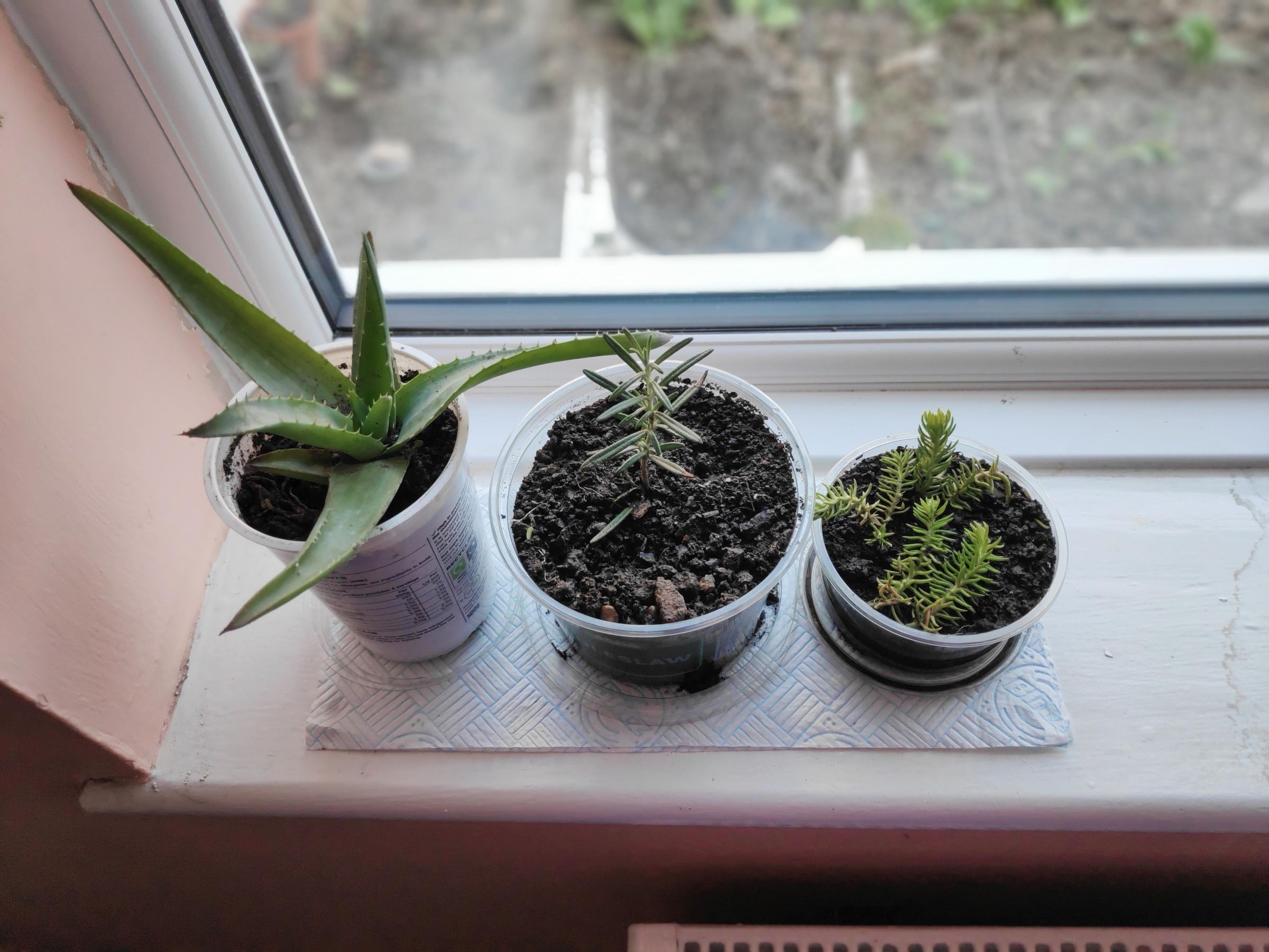 Free Plant Pots From Recycled Plastic Food Containers : 4 Steps ...