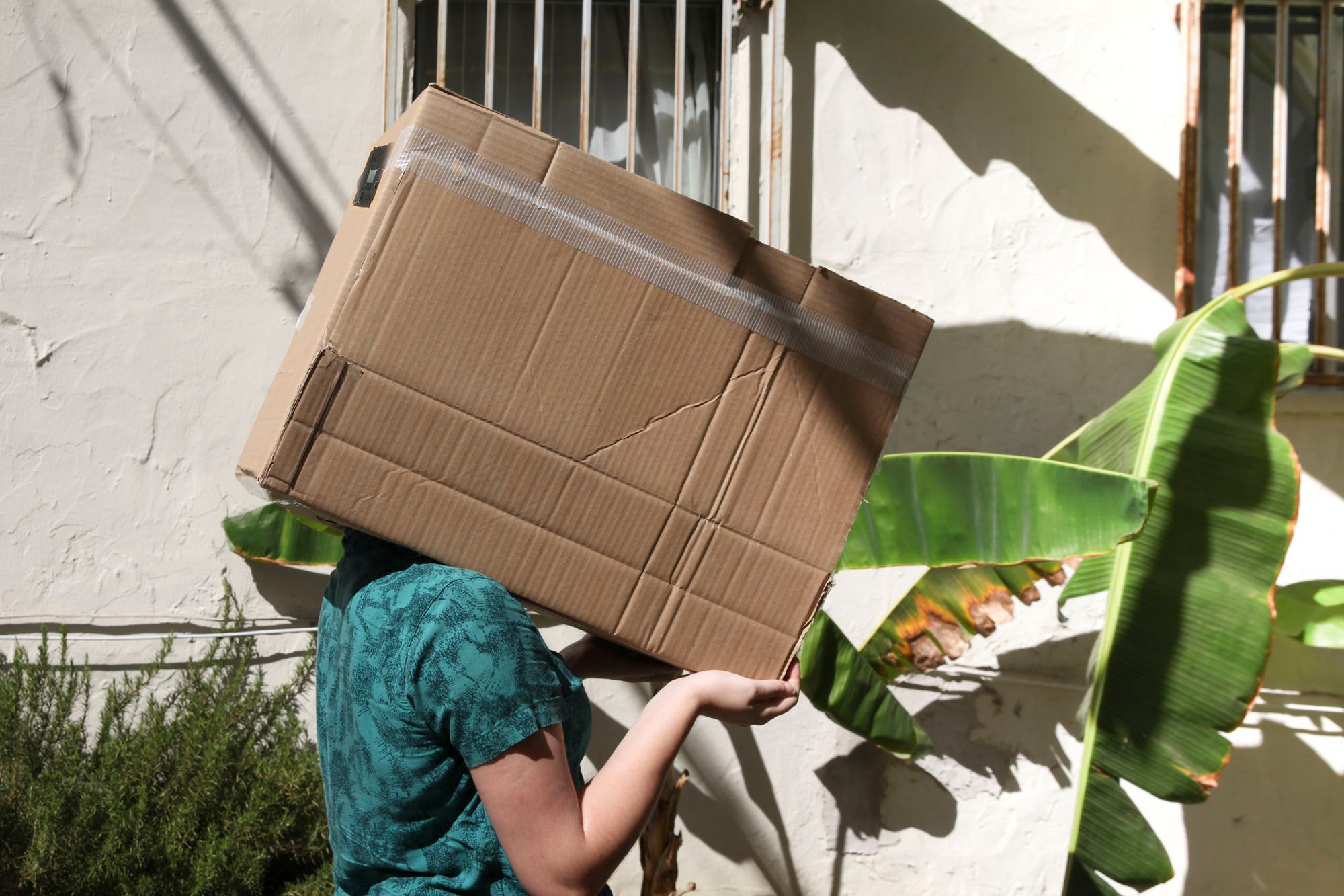 Cardboard Box Eclipse Viewer : 6 Steps (with Pictures) - Instructables