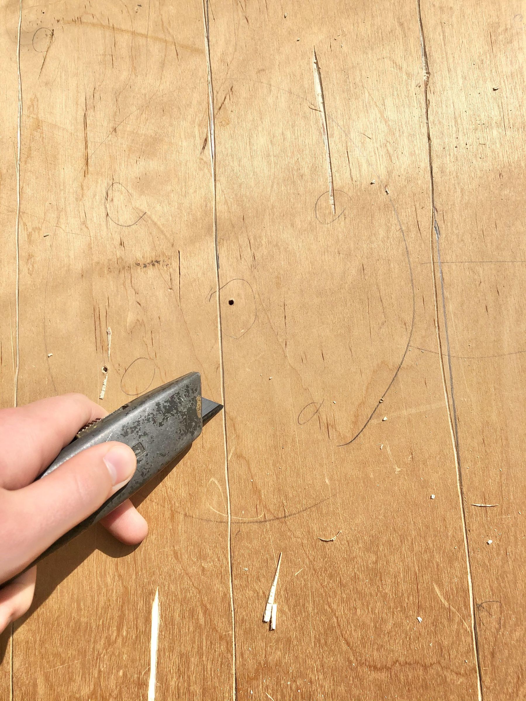 How to Make a Viking Round-Shield : 12 Steps (with Pictures ...