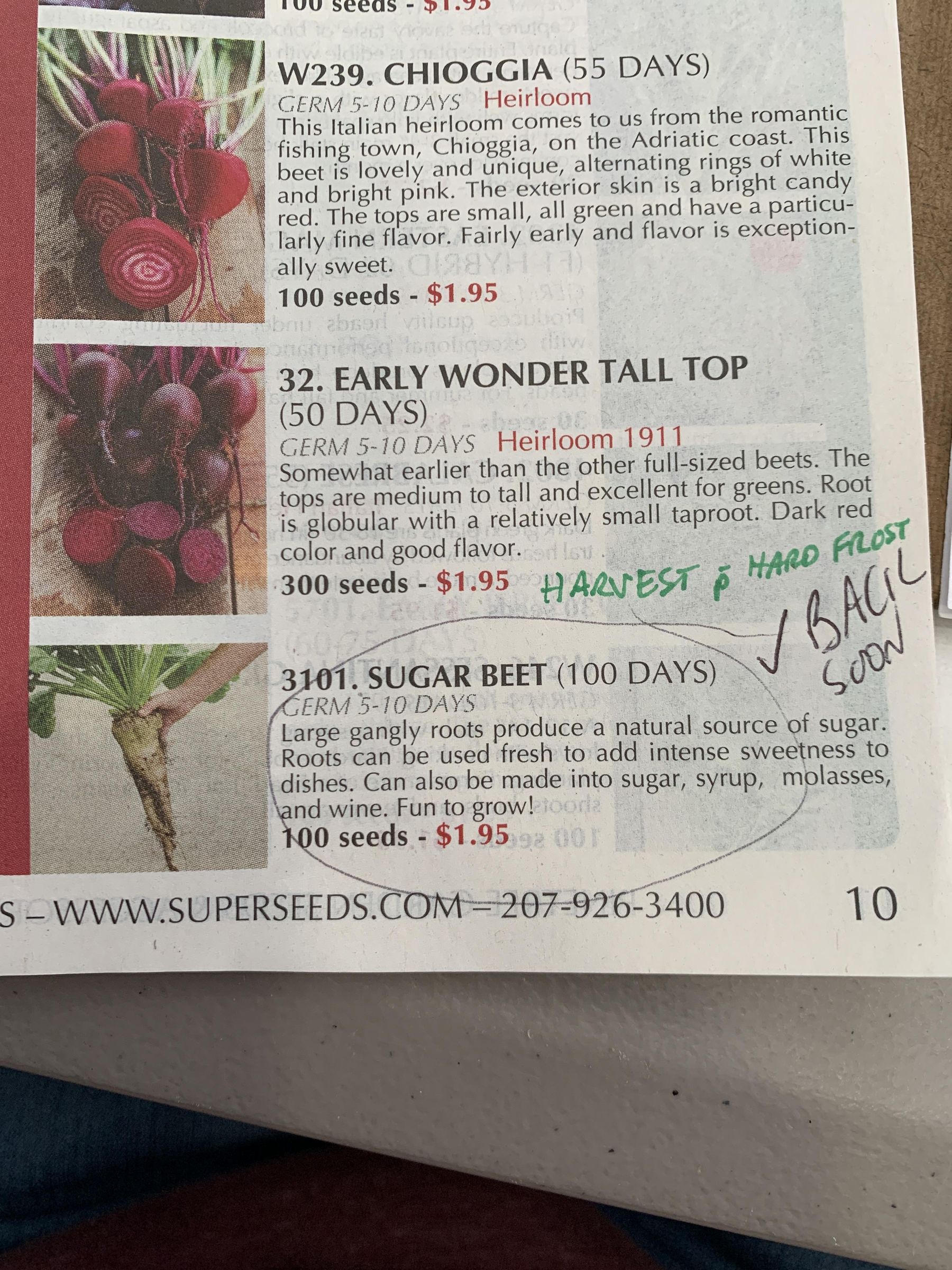 Making Sugar From Sugar Beets : 7 Steps (with Pictures) - Instructables
