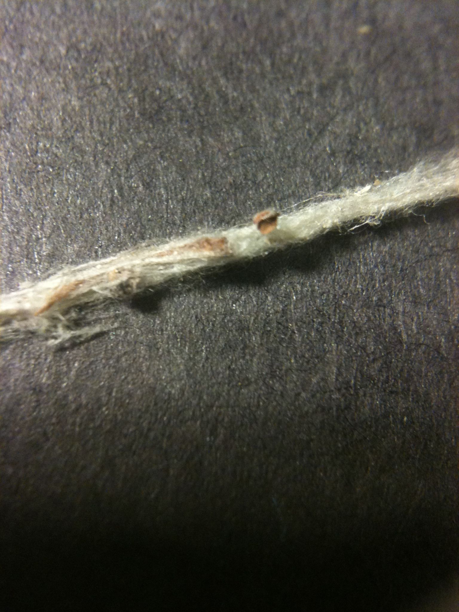How to Make Spider Silk Thread : 8 Steps (with Pictures) - Instructables