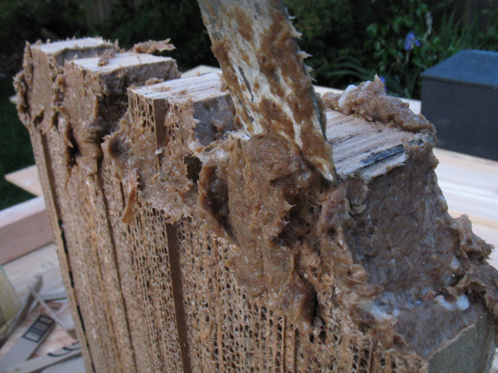 Wheatpaste : 5 Steps (with Pictures) - Instructables