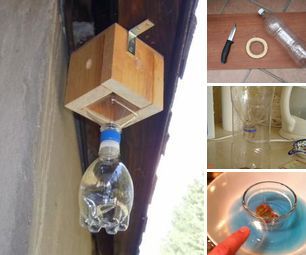 Homemade Bug Trap - Instructables
