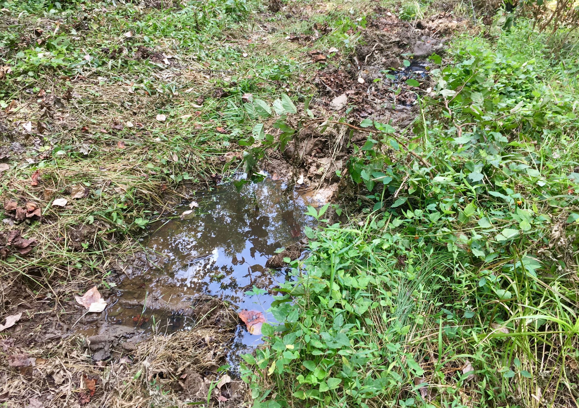 Spring Water Collection System : 16 Steps (with Pictures) - Instructables