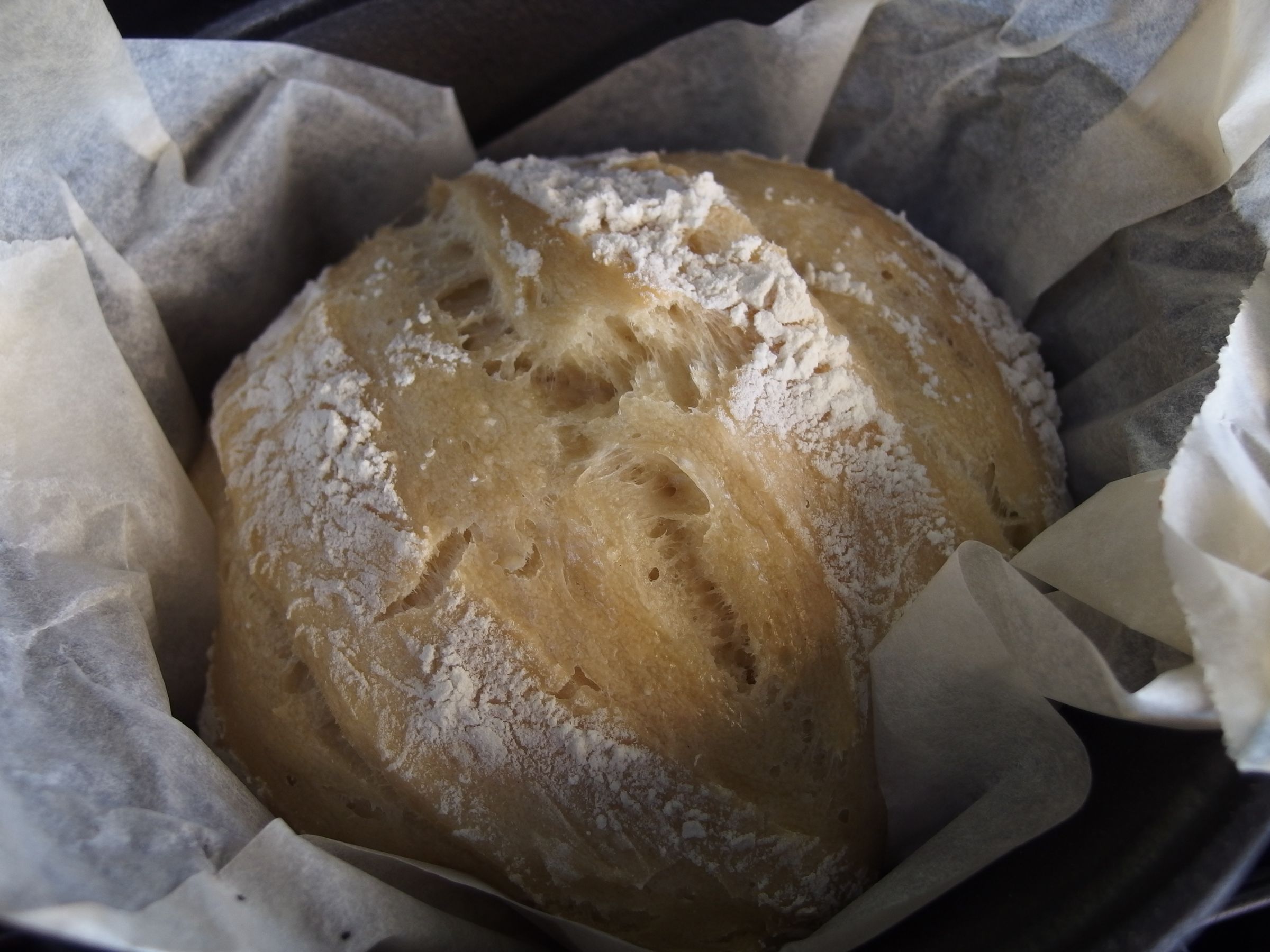 BBQ Bread in a Cast Iron Camp Oven : 11 Steps (with Pictures ...