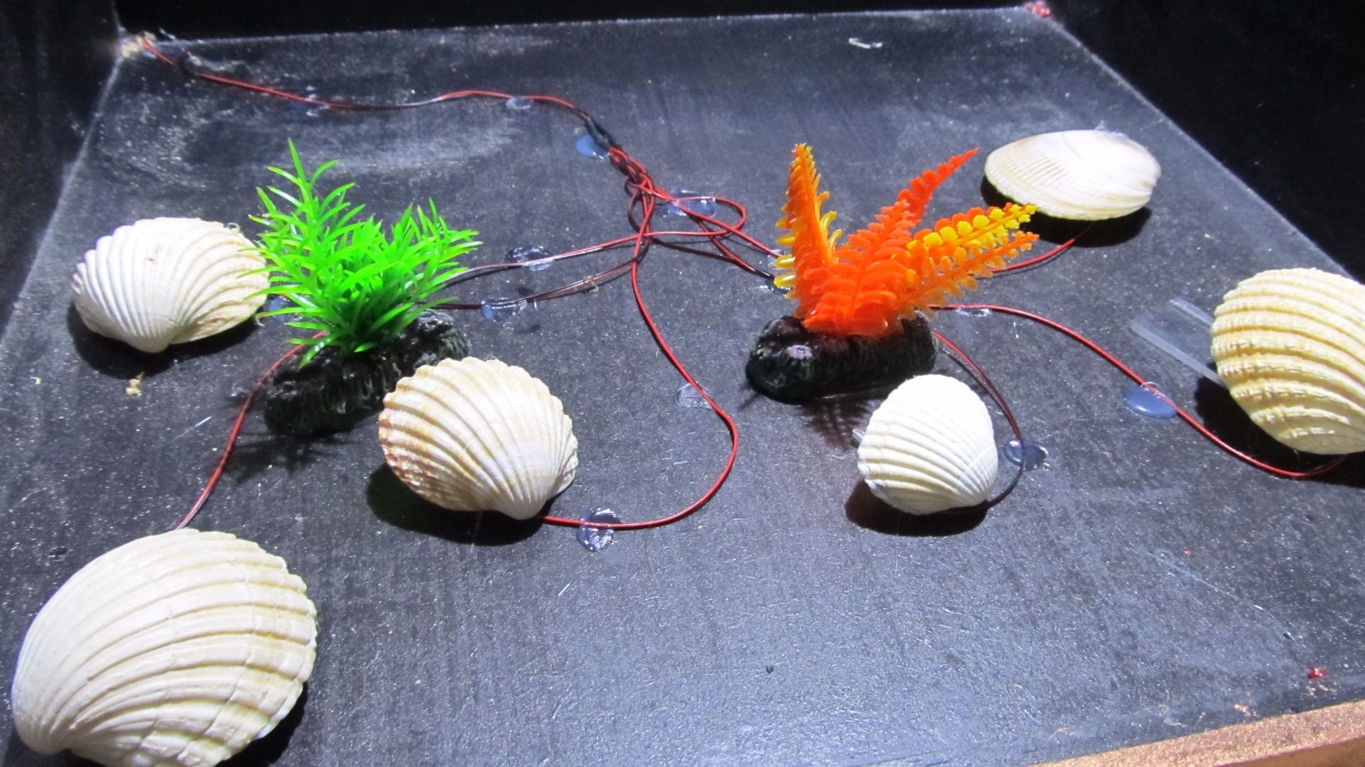 Haunted Fish Tank. : 6 Steps - Instructables