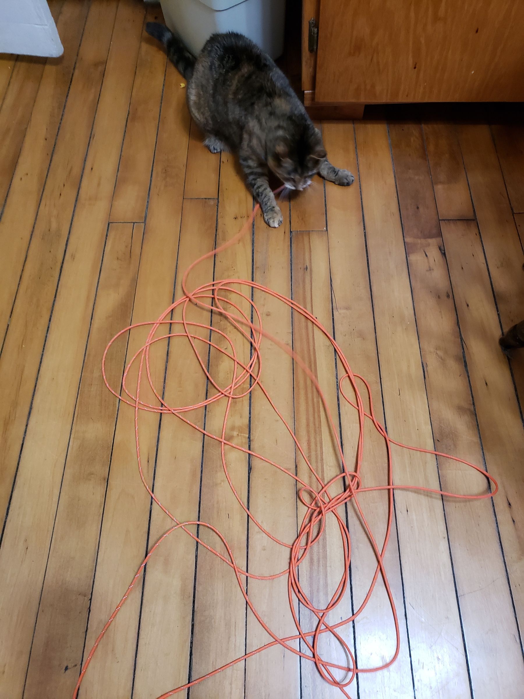 Paracord Daisy Chain : 7 Steps (with Pictures) - Instructables