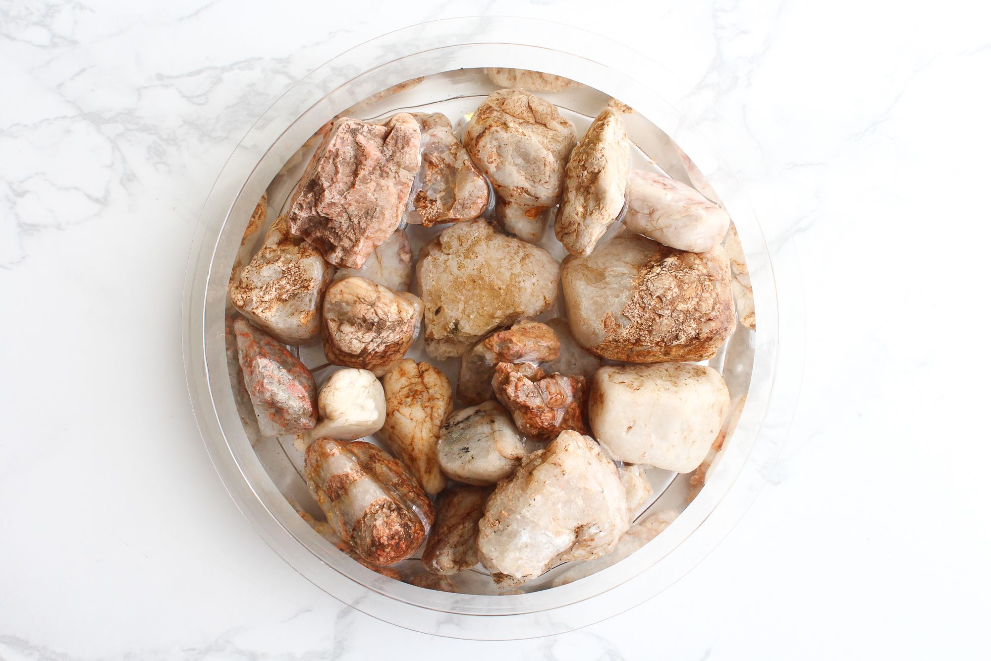 How to Increase Humidity for Houseplants : 6 Steps (with Pictures ...