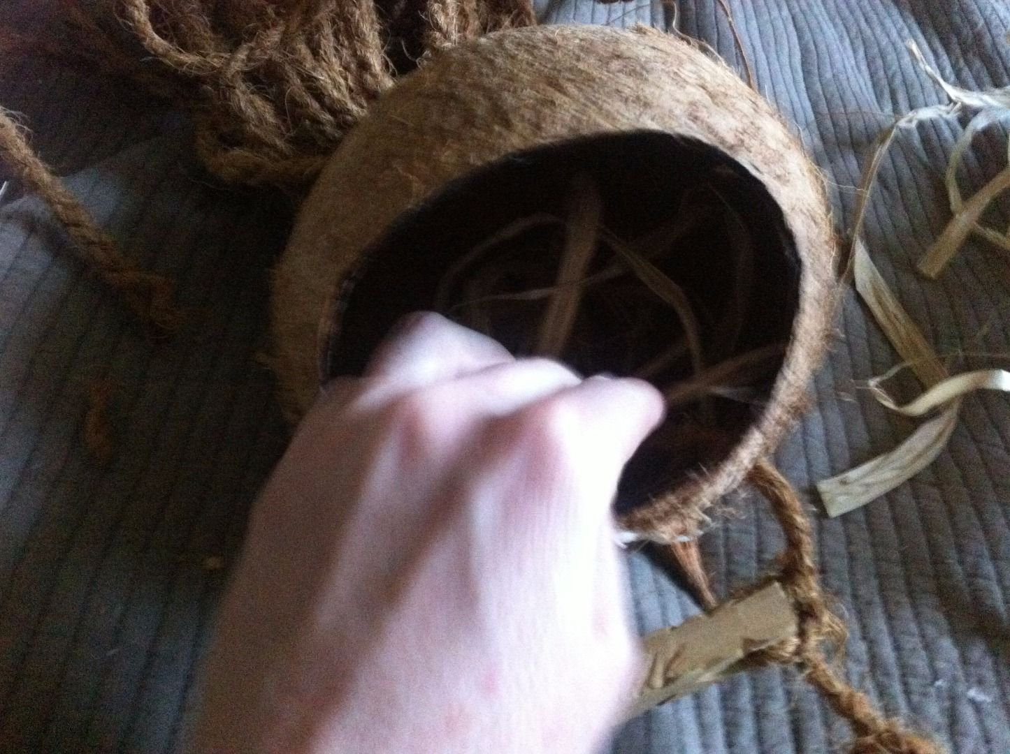 Coconut Hut | a Home for Birds & Creatures : 6 Steps (with Pictures ...