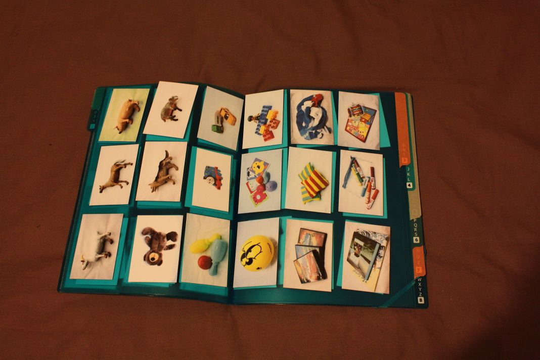 Flashcard Picture Book for Toddlers - SALT Resources : 6 Steps (with ...
