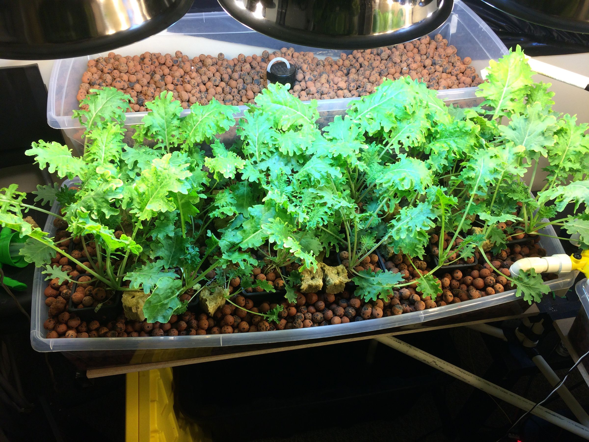 Indoor Hydro/Aqua-ponic Garden : 8 Steps (with Pictures) - Instructables
