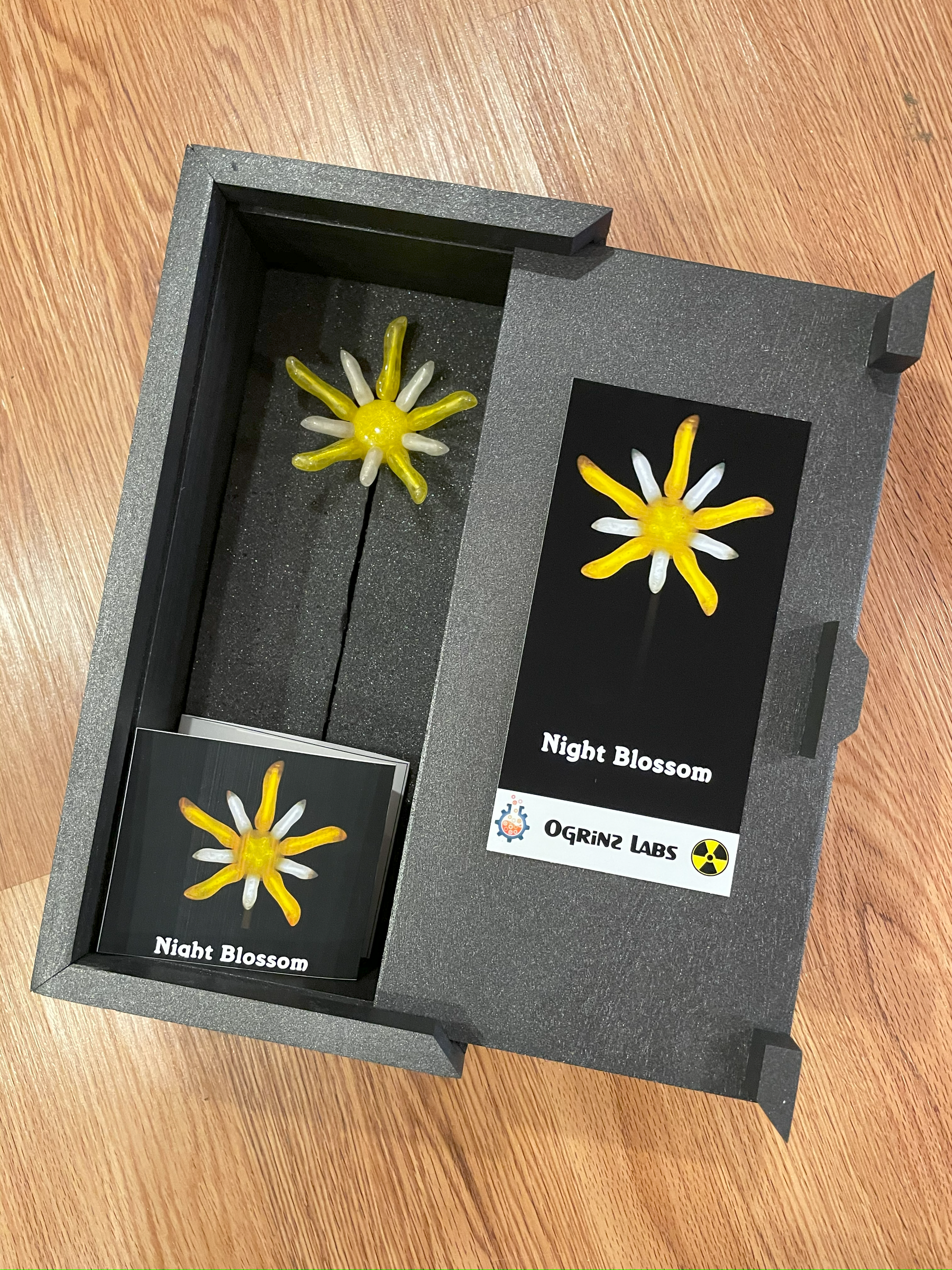 Night Blossom: the Radioactive Flower That Glows for 30+ Years : 9 ...