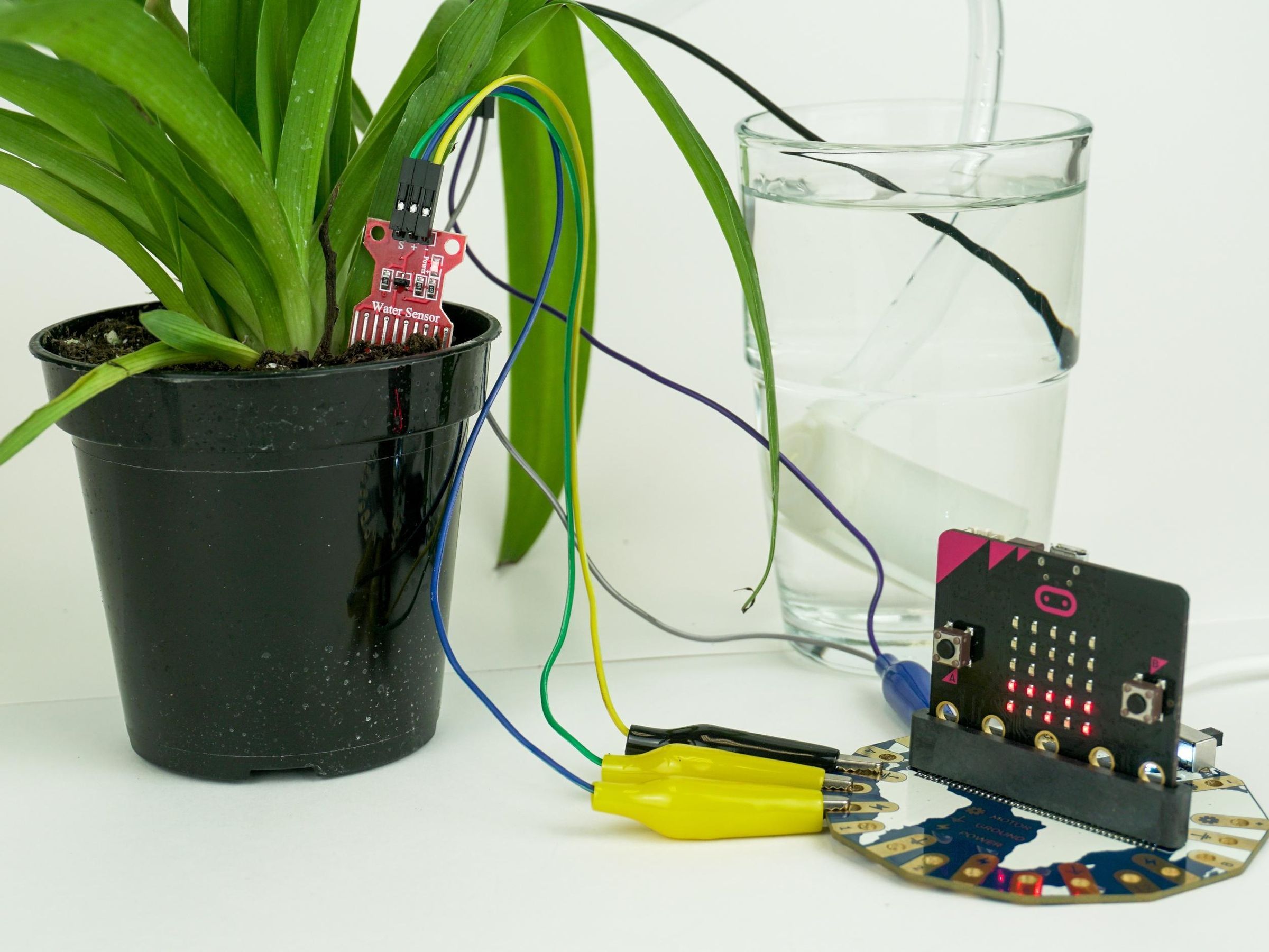 Micro:bit Enabled Plant Watering System : 6 Steps (with Pictures ...