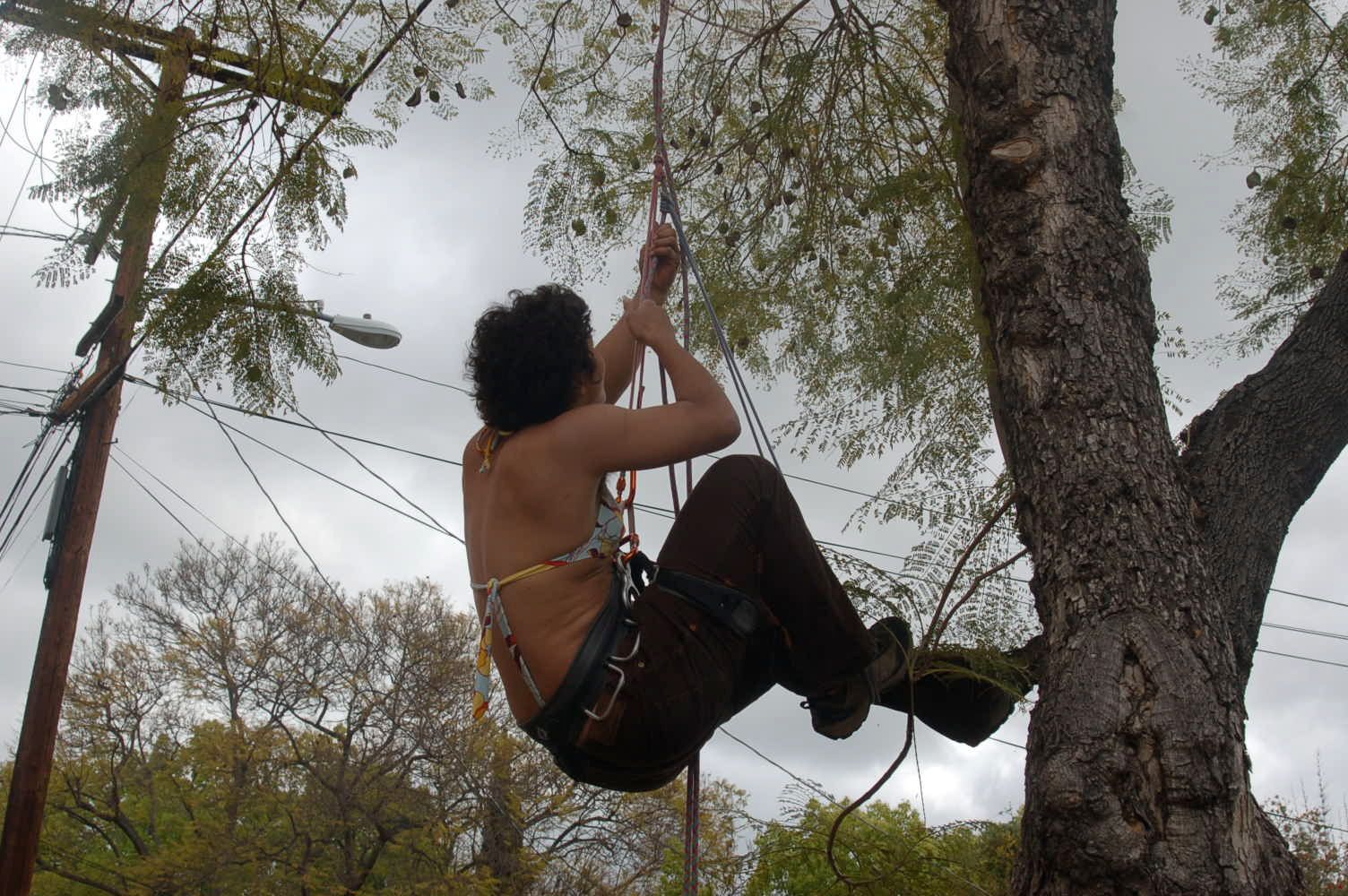 How to Climb a Tree (with Prussiks!) : 6 Steps (with Pictures ...