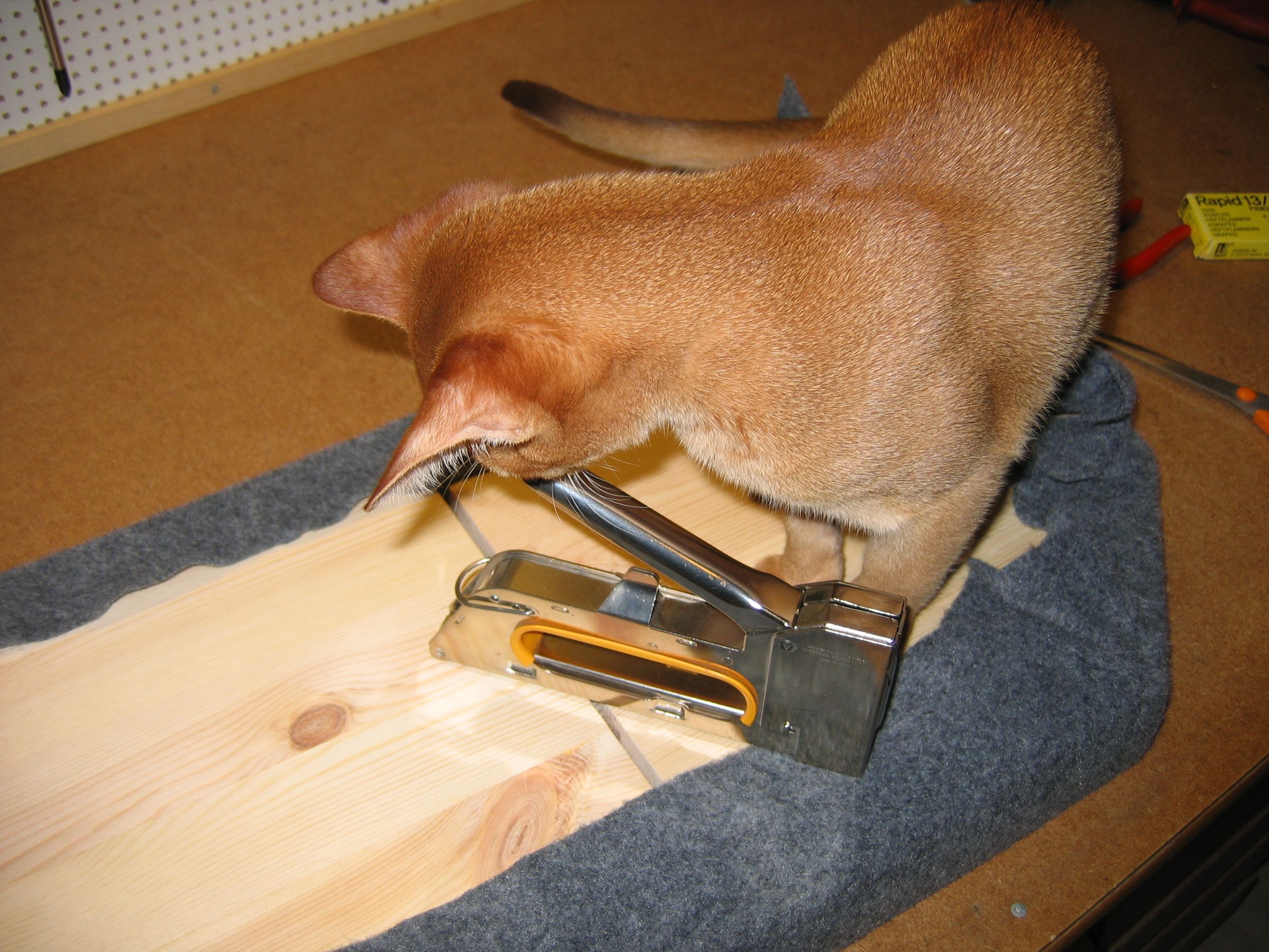 Full Size Cat Scratching / Climbing Post : 7 Steps - Instructables
