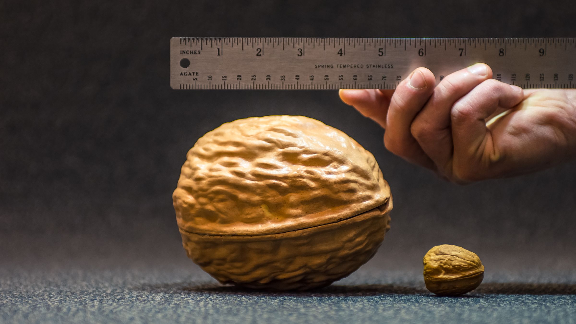 The Making of a Giant Walnut Prop : 12 Steps (with Pictures ...