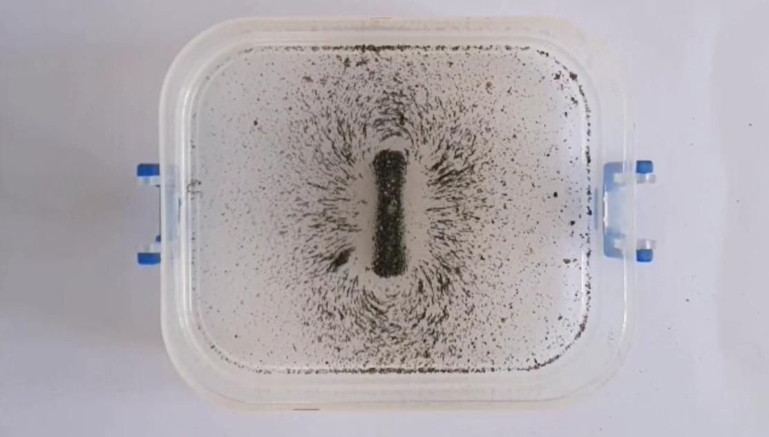 Visualizing Magnetic Field Lines : 5 Steps - Instructables