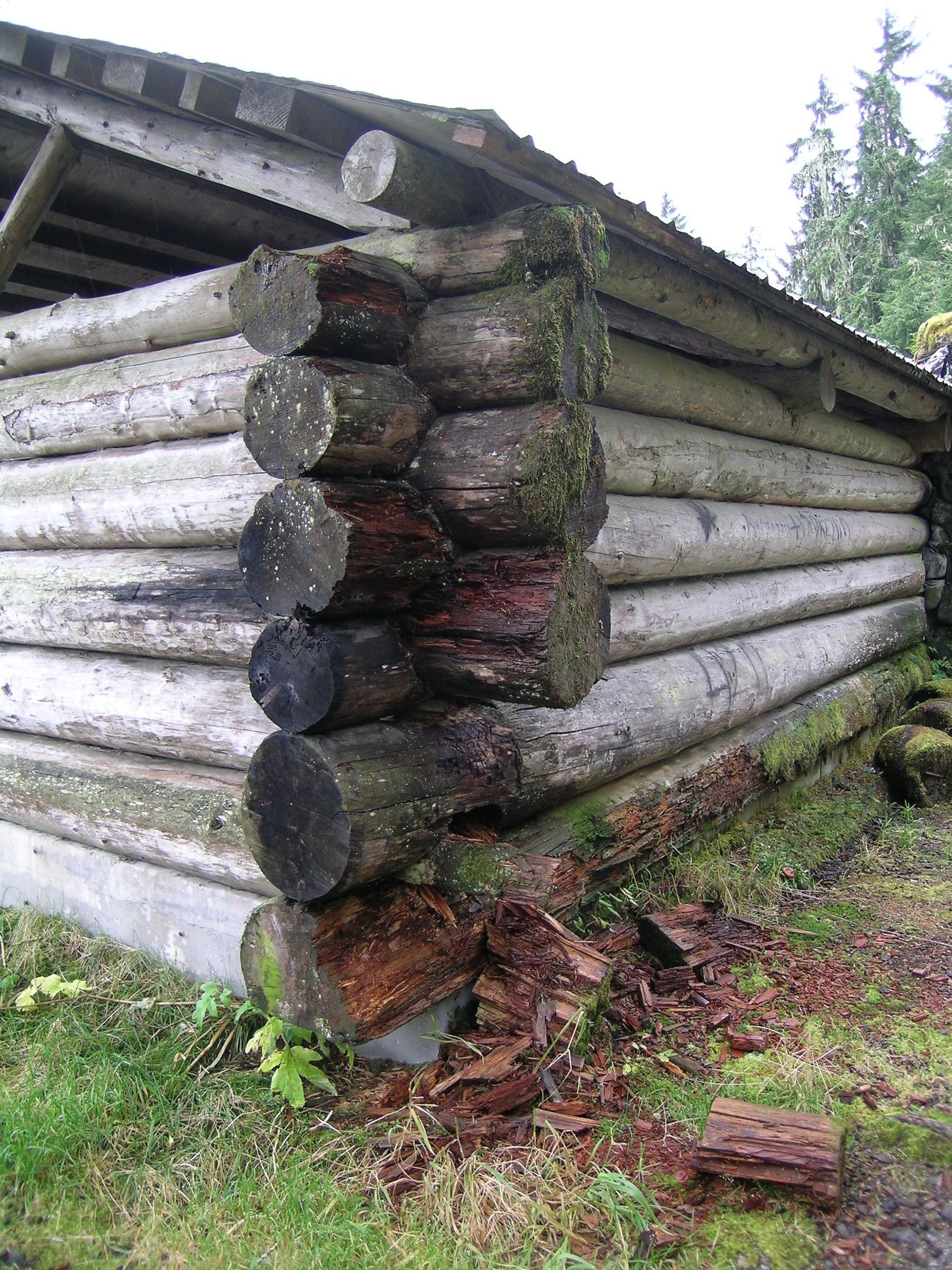 How to Build a Log Shelter : 11 Steps (with Pictures) - Instructables