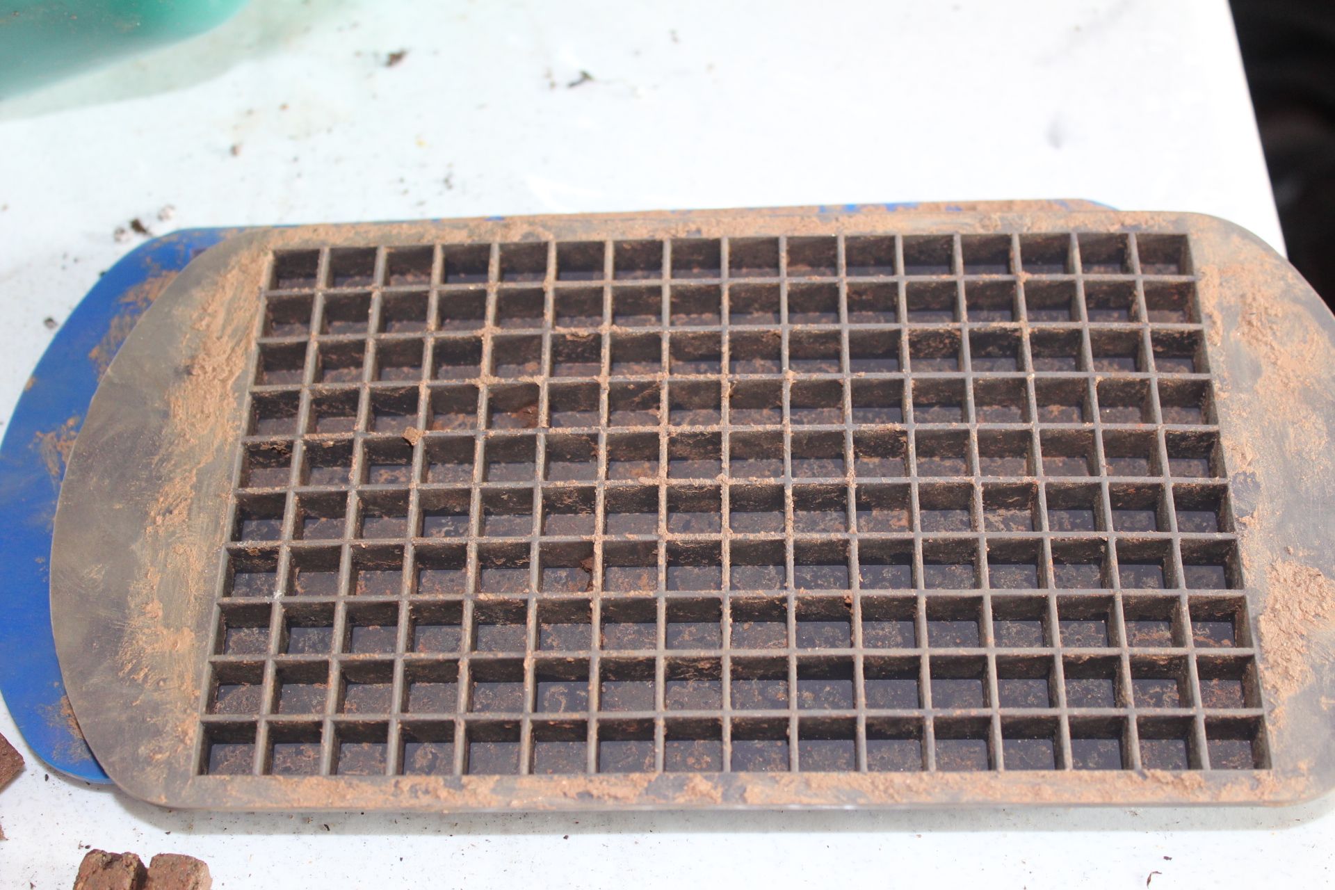 Homemade Pelleted Seeds : 8 Steps (with Pictures) - Instructables