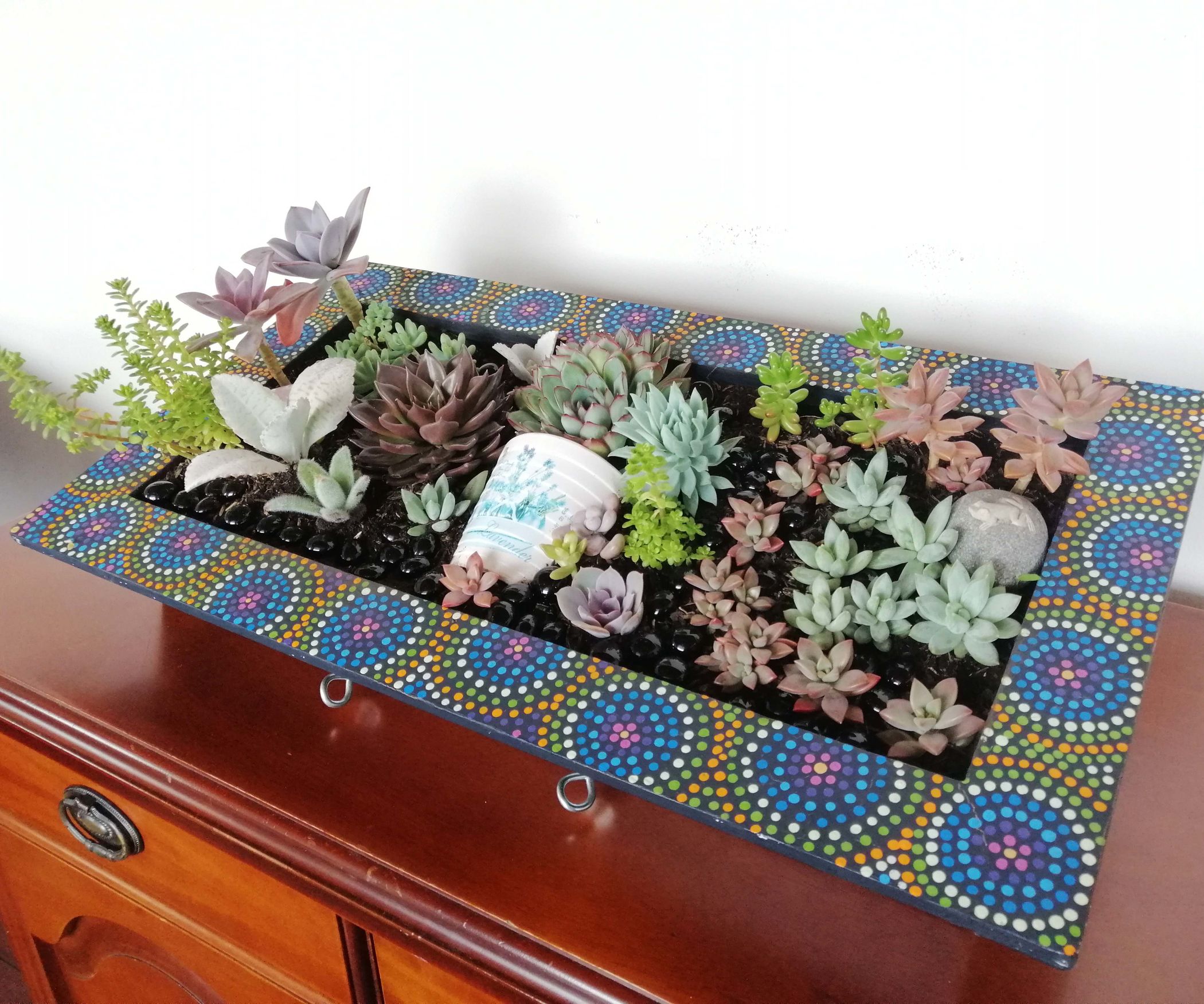 Framed Nature : 6 Steps (with Pictures) - Instructables