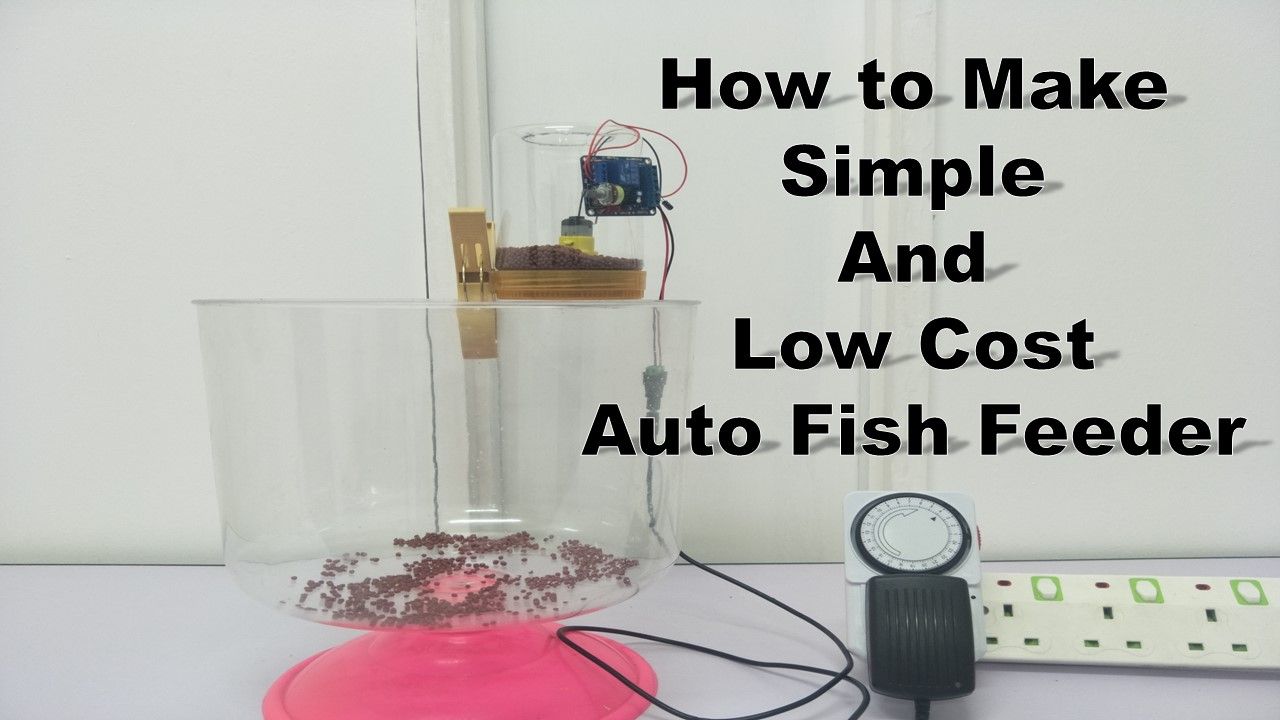 How to Make Simple and Low Cost Auto Fish Feeder - Instructables