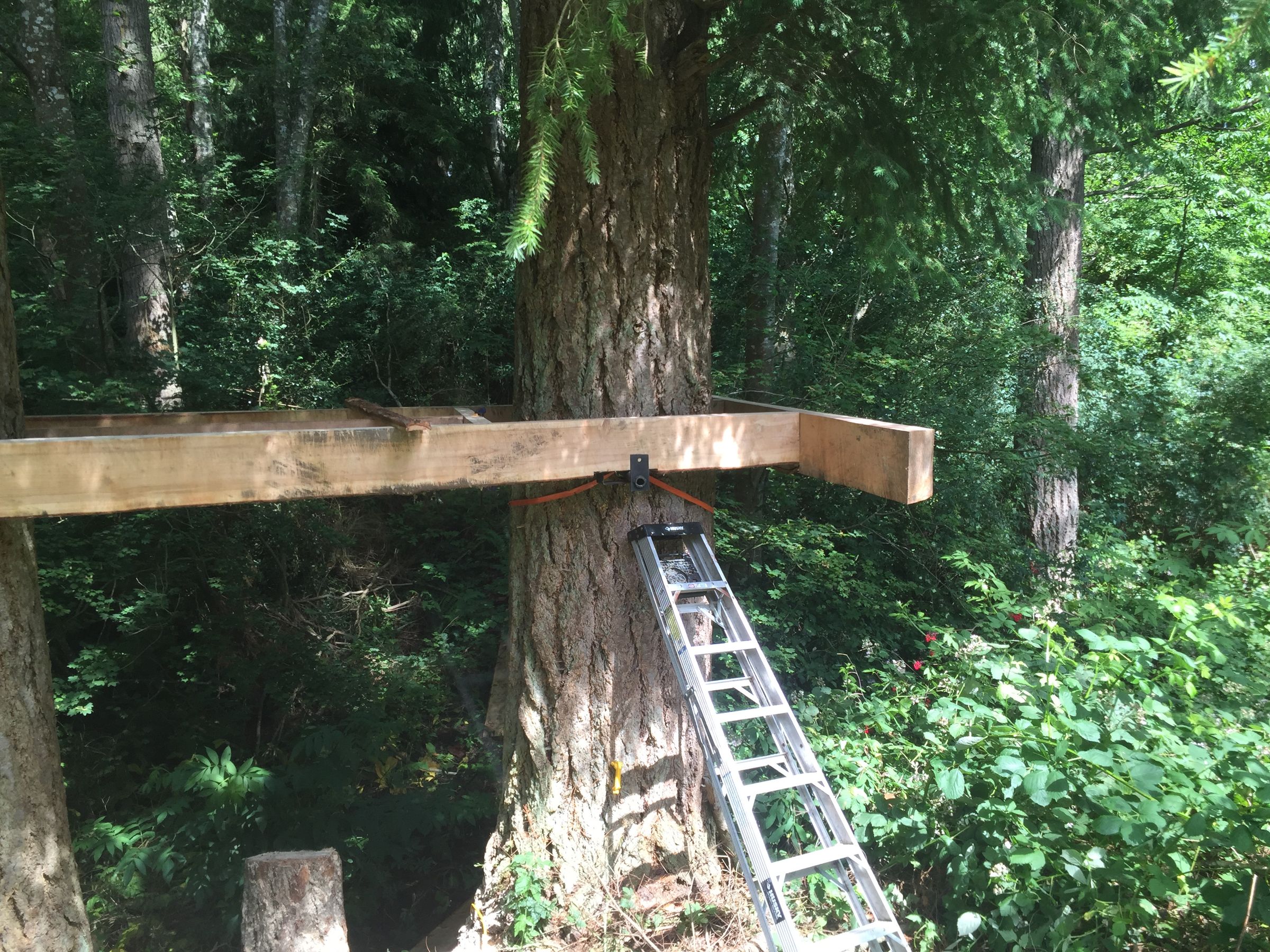 Treehouse Build : 10 Steps (with Pictures) - Instructables