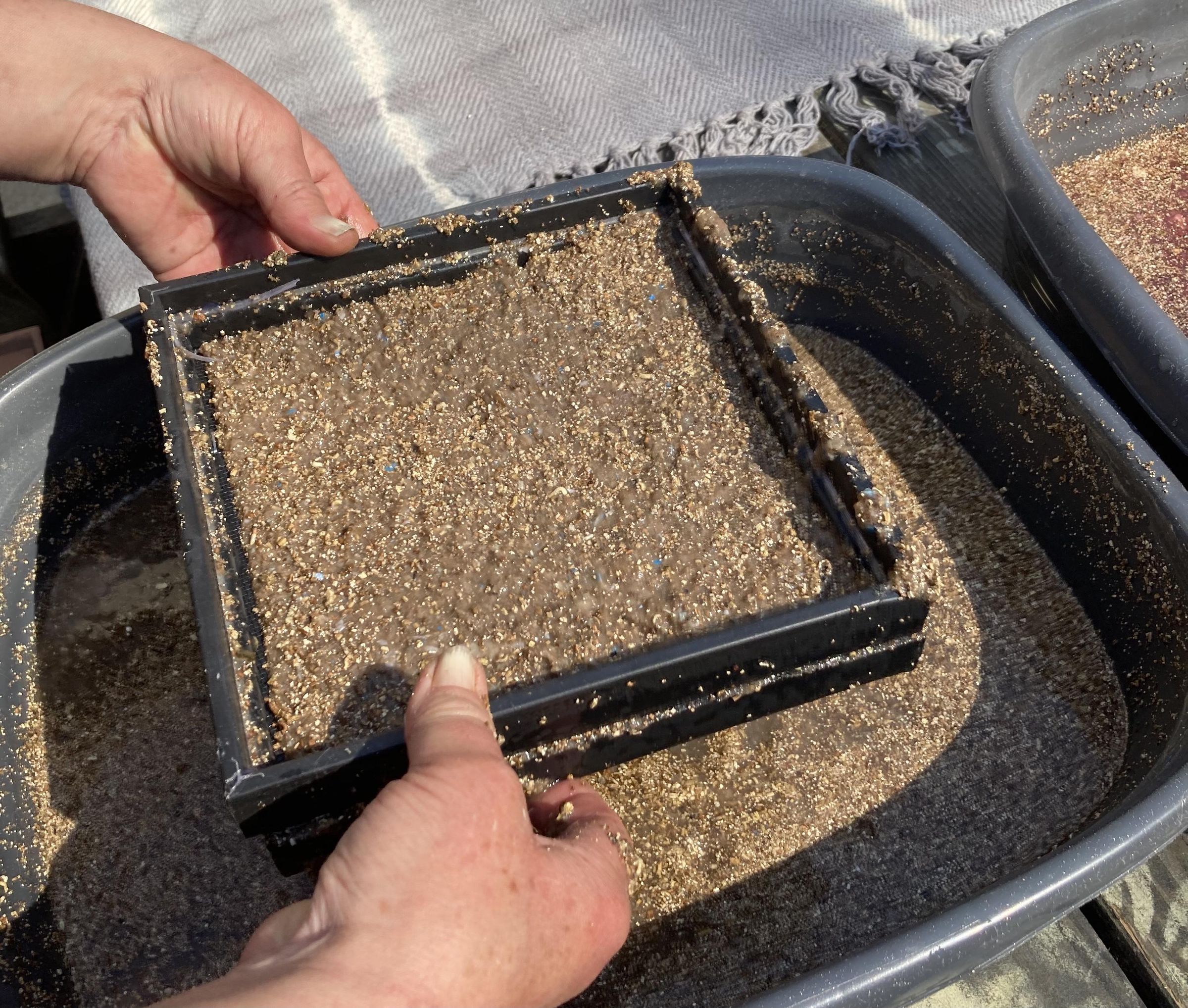 Seed Paper From Used Cardboard Boxes : 8 Steps (with Pictures ...