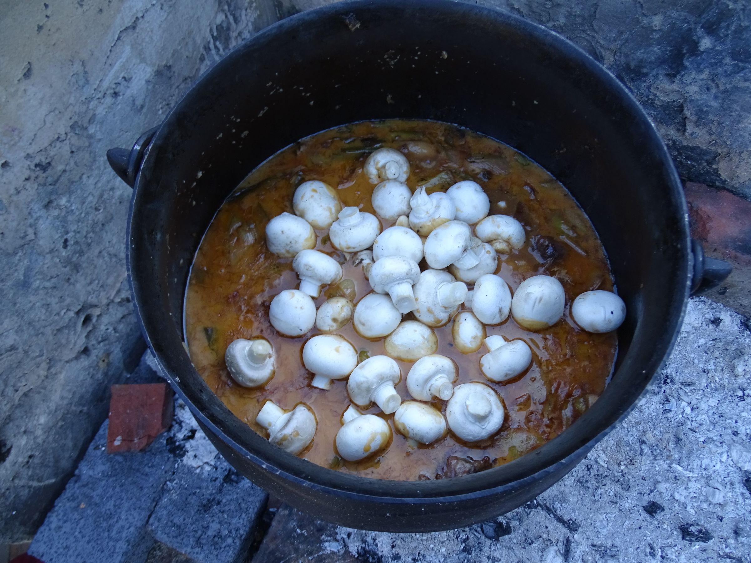 Oxtail Potjie - Rustic Slow Cooking : 9 Steps (with Pictures ...