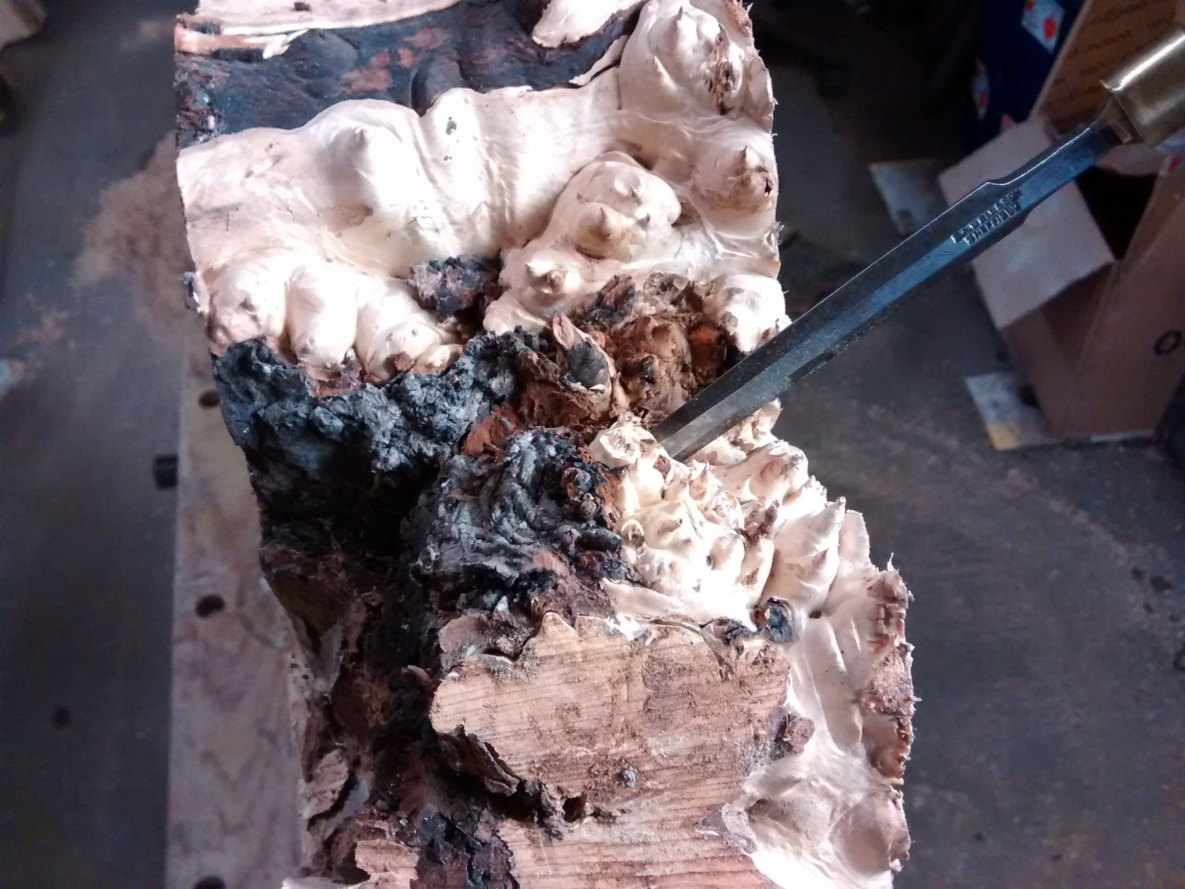 Large Log Slice Table : 9 Steps (with Pictures) - Instructables
