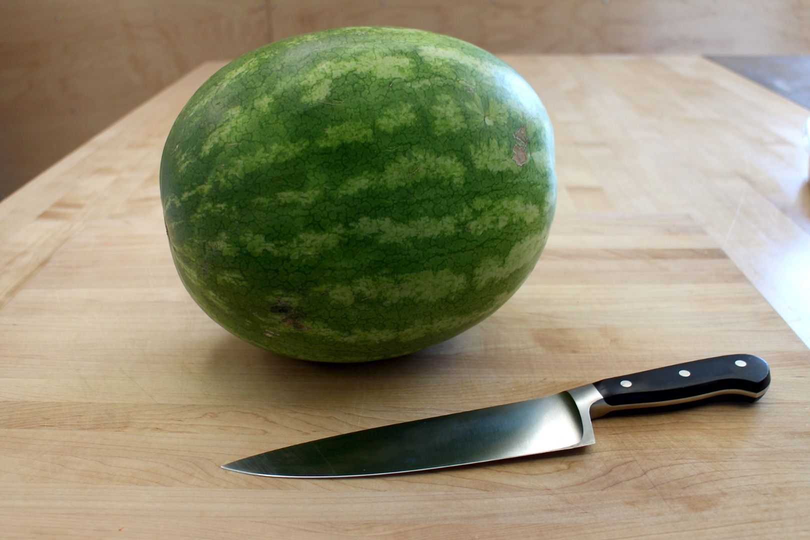 Watermelon Shark : 13 Steps (with Pictures) - Instructables