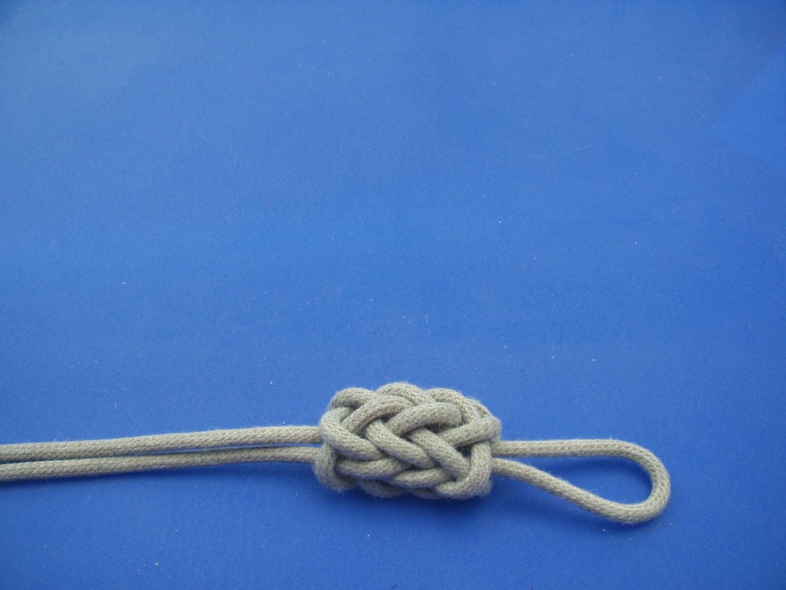 4 Bight, 5 Lead Turkshead Knot With Interweave : 21 Steps - Instructables
