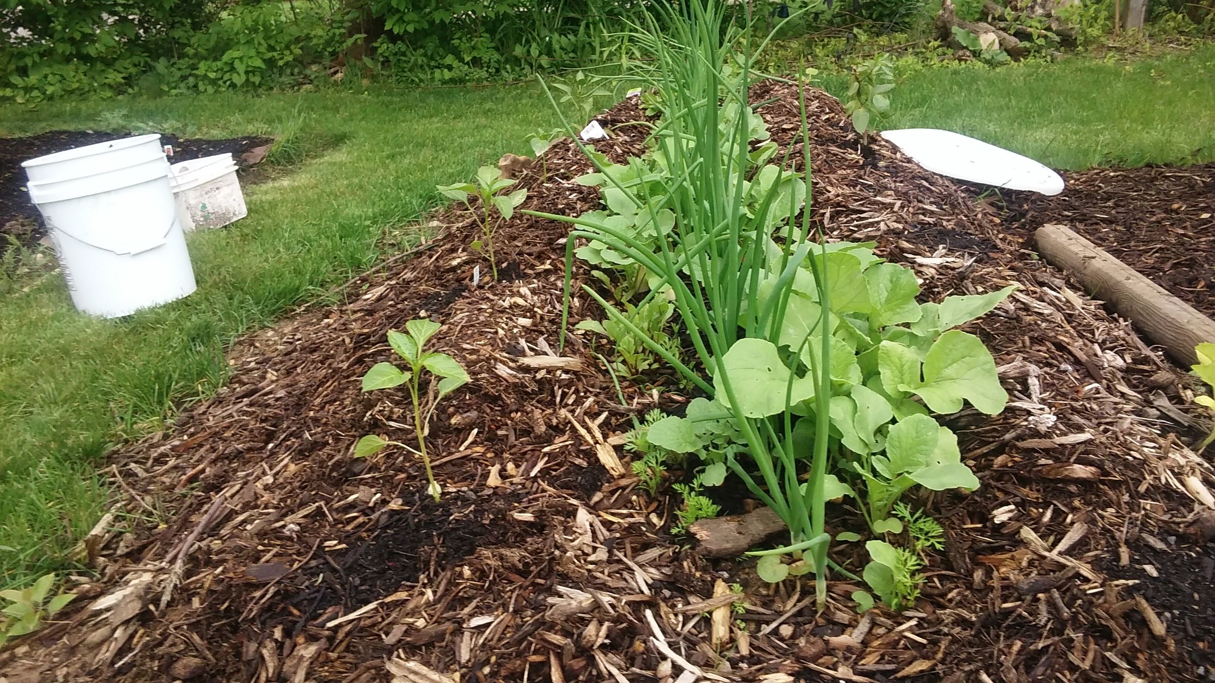 Hugelkulture Containers The Many Benefits Of Hugelkultur