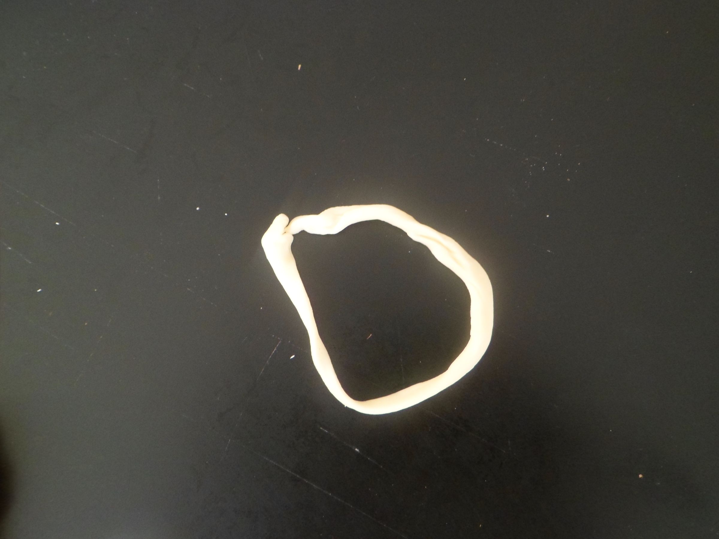 Khapse(tibetan Snack) : 13 Steps (with Pictures) - Instructables