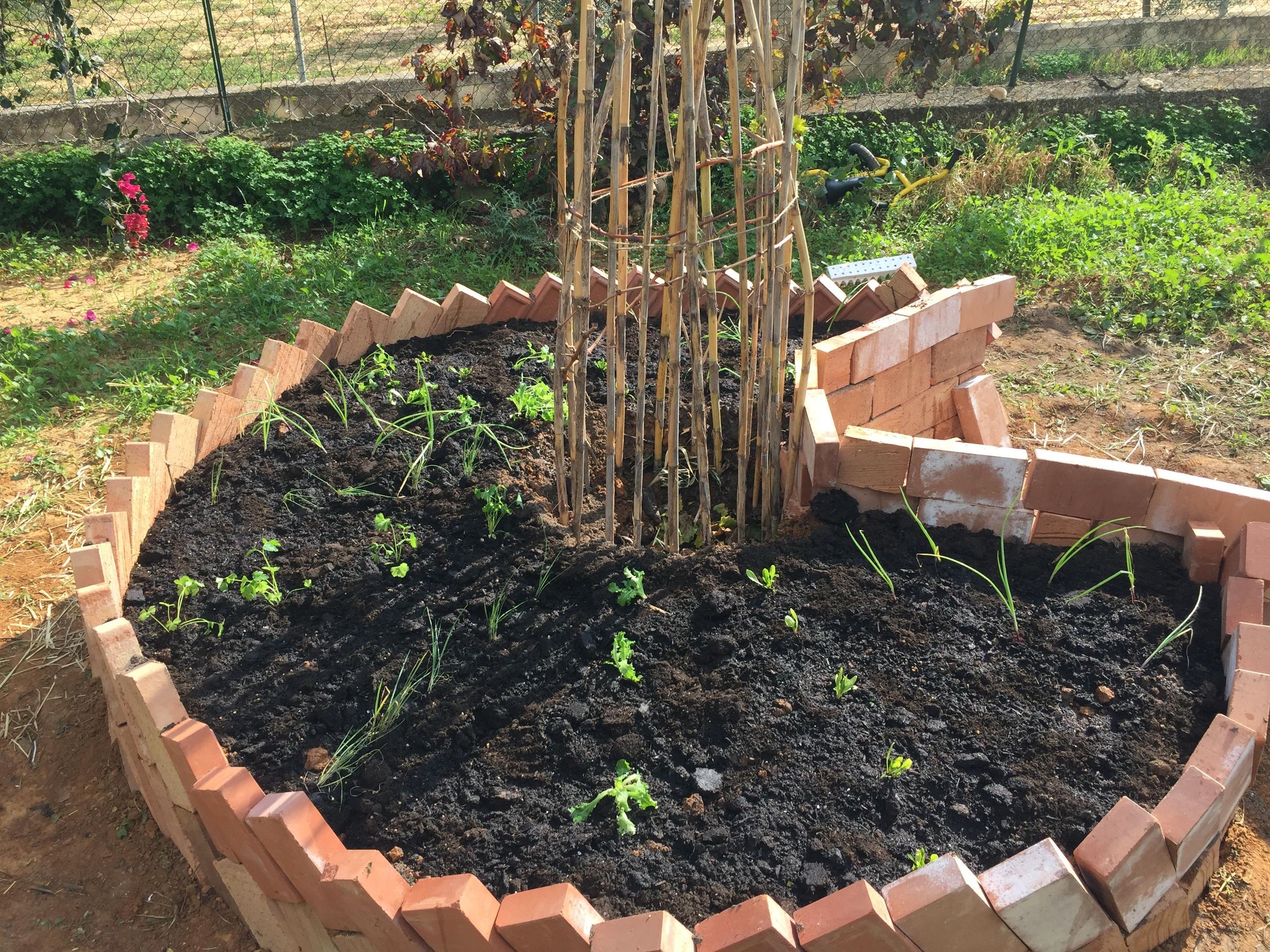 Keyhole Garden : 12 Steps (with Pictures) - Instructables