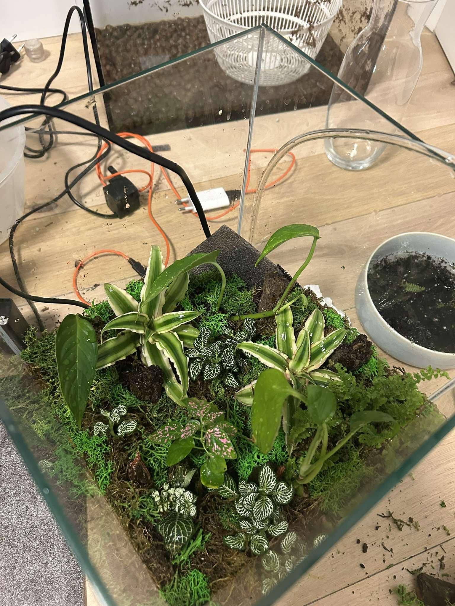 ESP32 Powered Smart Terrarium : 5 Steps (with Pictures) - Instructables