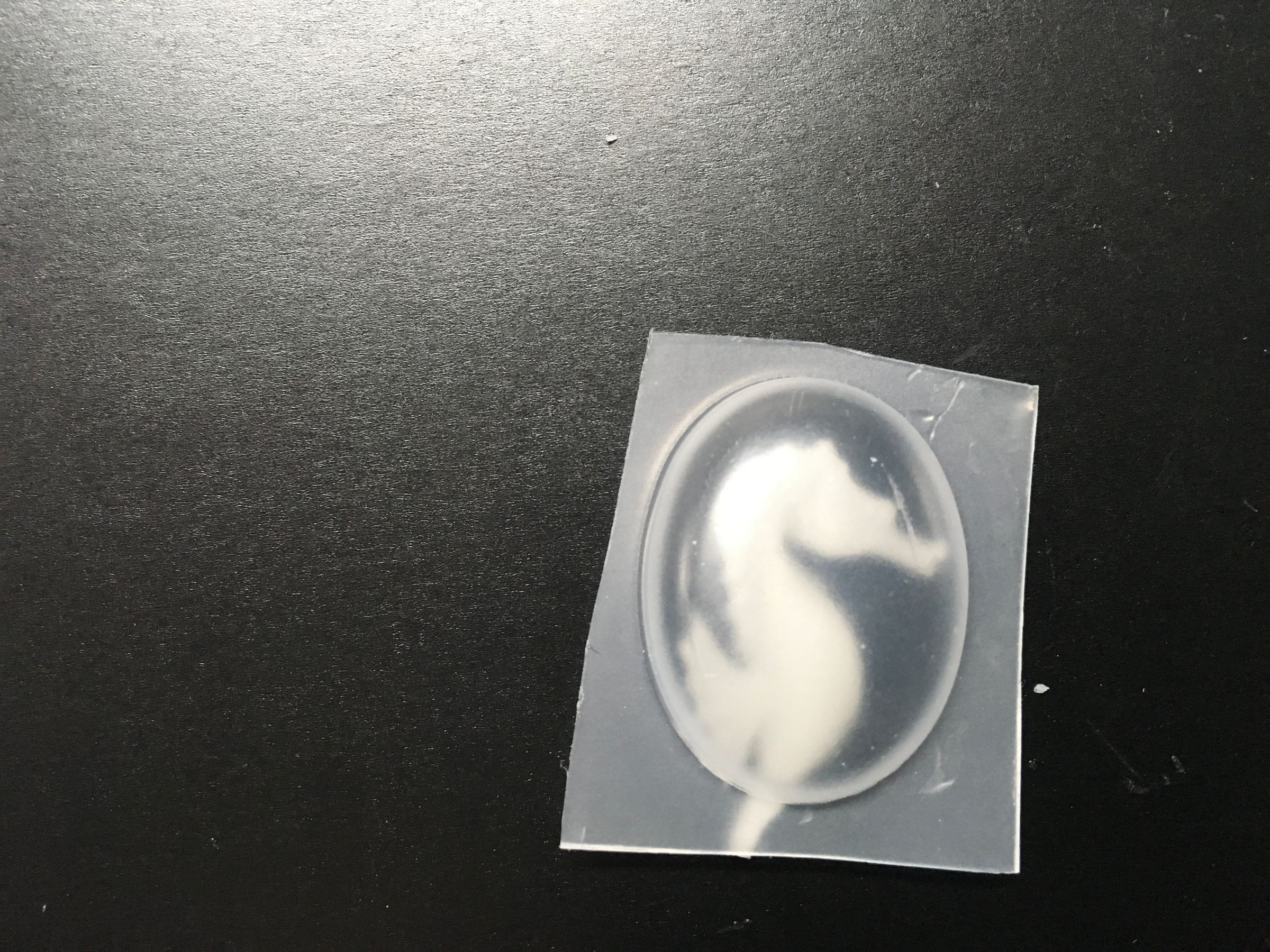 Reverse Resin Intaglio : 7 Steps (with Pictures) - Instructables