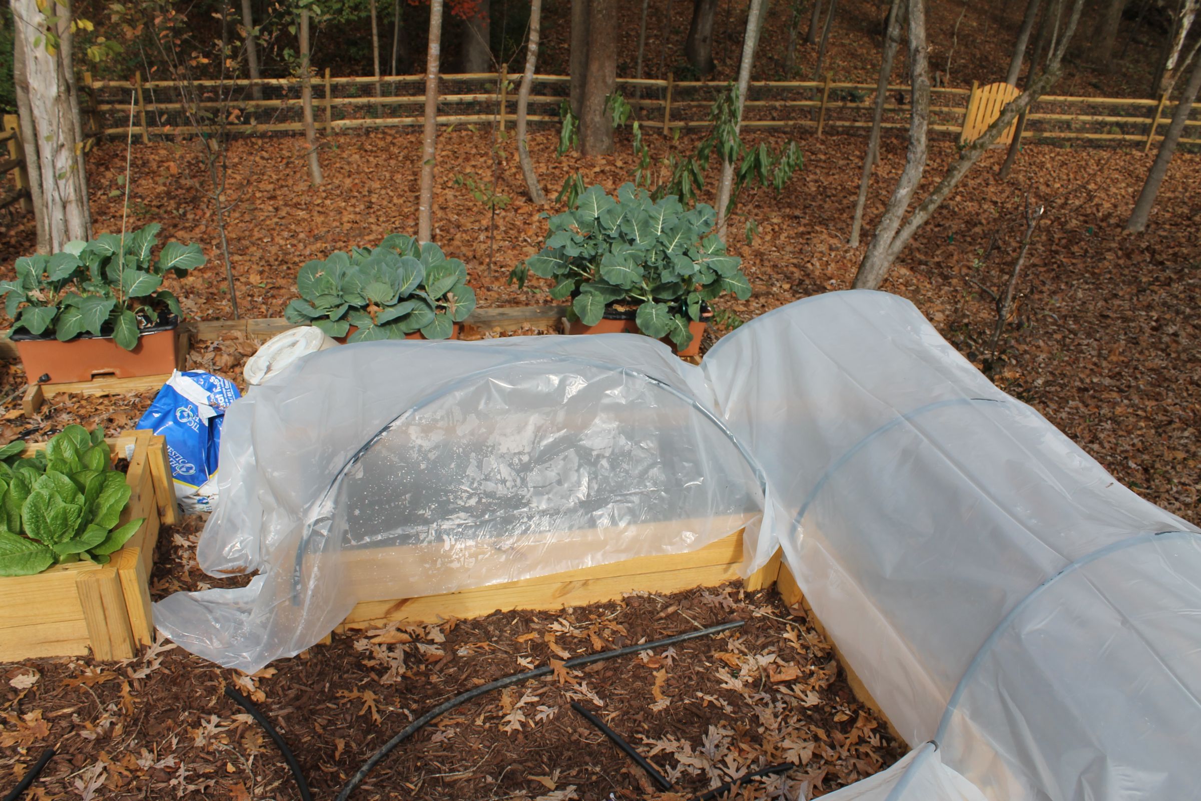 Simple Hoop Houses for Raised Beds : 5 Steps (with Pictures ...