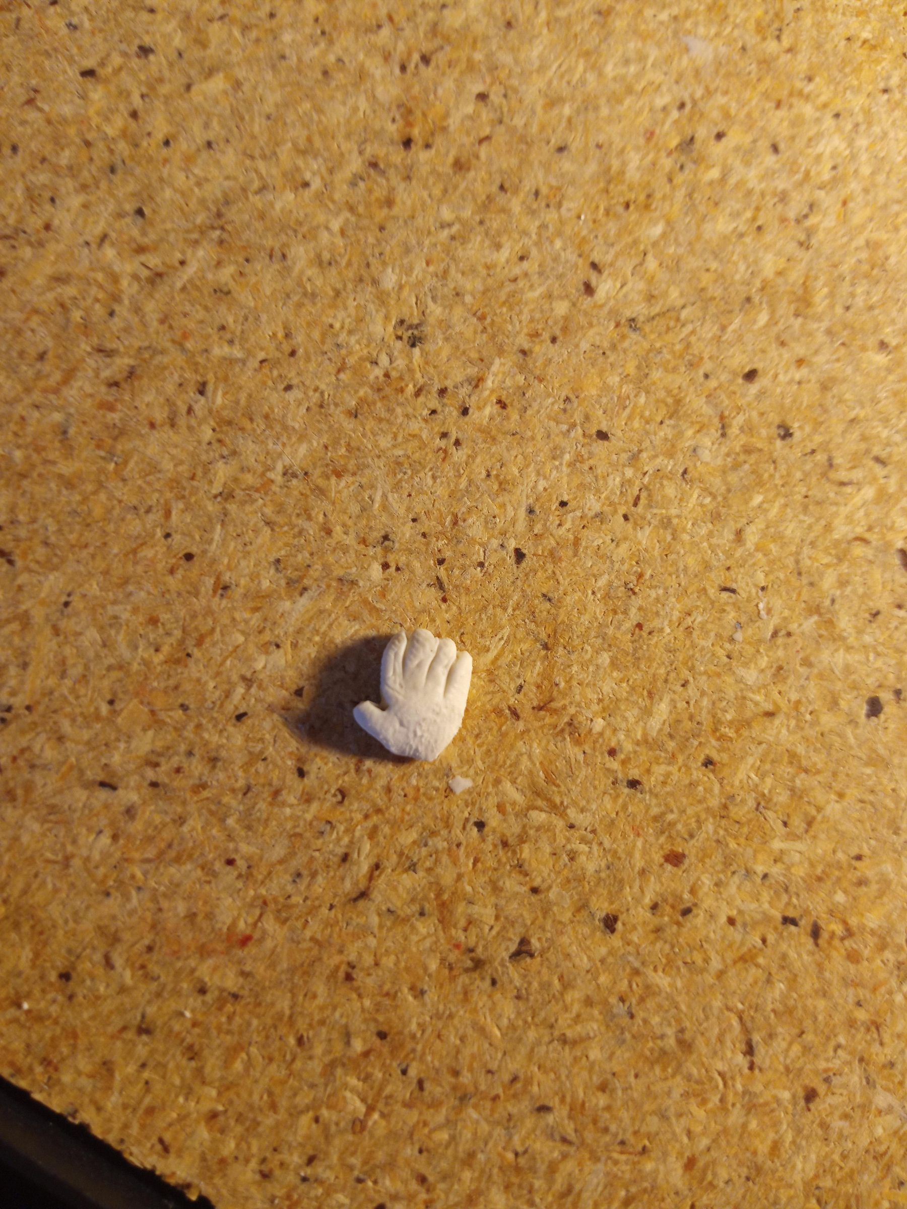 Mossy Stone Garden Gnomes : 14 Steps (with Pictures) - Instructables