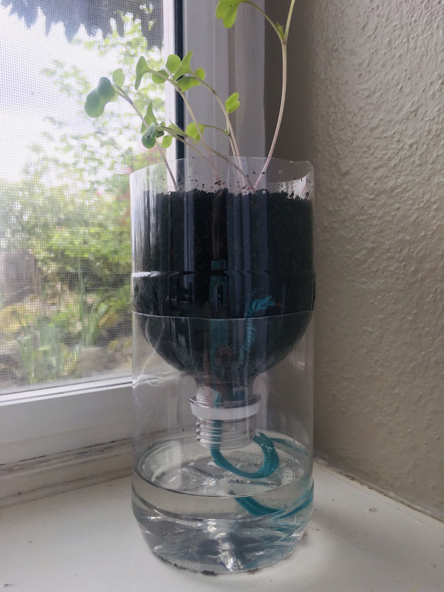 Self Watering Planter From a Plastic Bottle : 3 Steps - Instructables