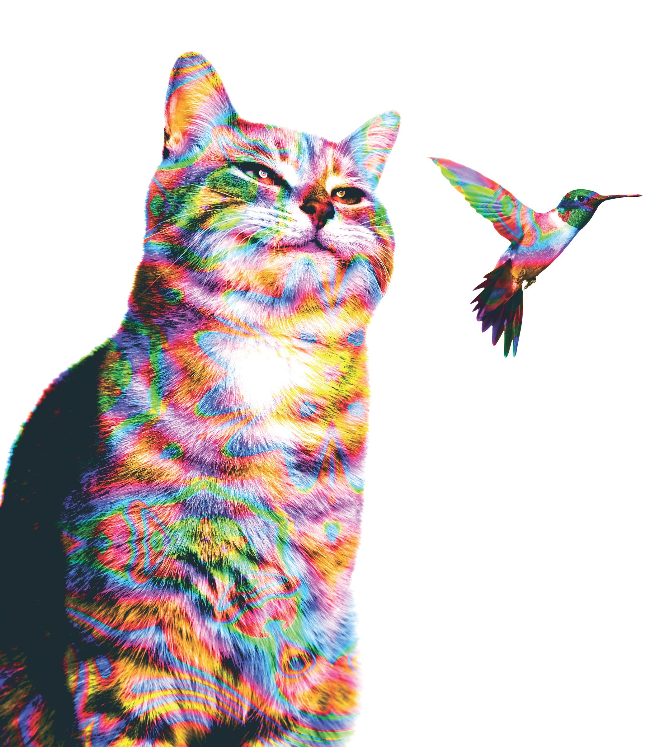 Color on a Makelangelo 3 : 3 Steps - Instructables