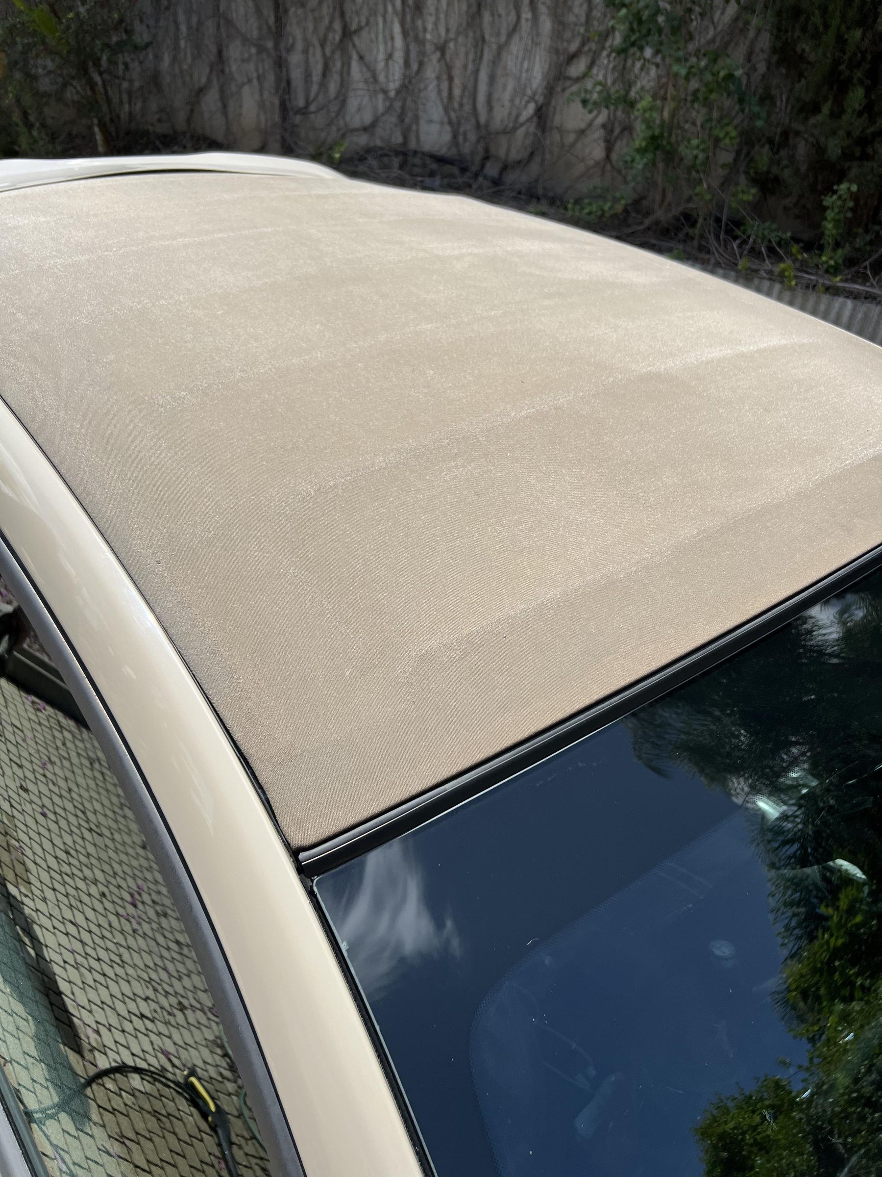 Cleaning Mold Off a Soft Convertible Top : 6 Steps (with Pictures ...
