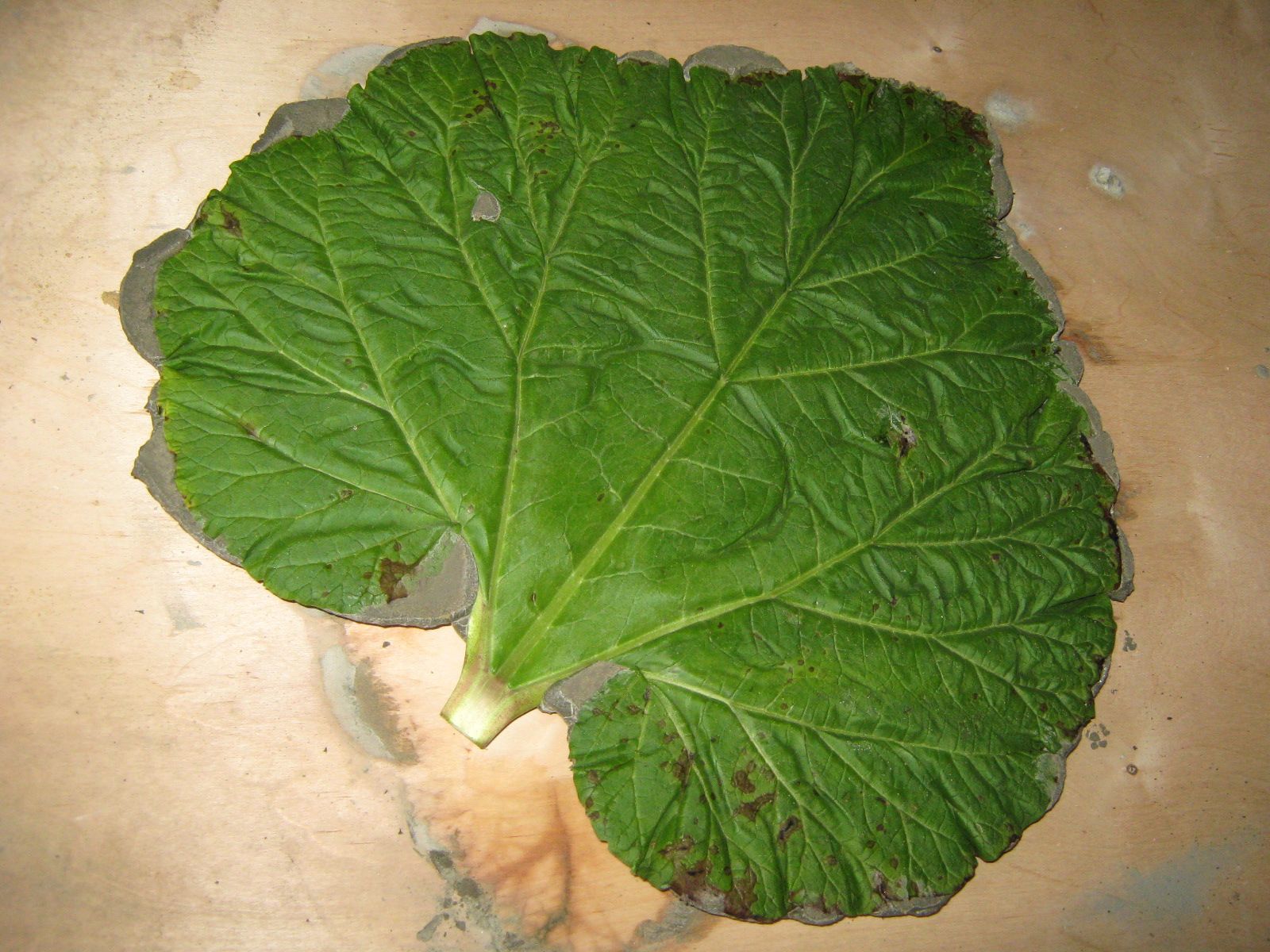 Ornamental Paving Slabs : 5 Steps - Instructables