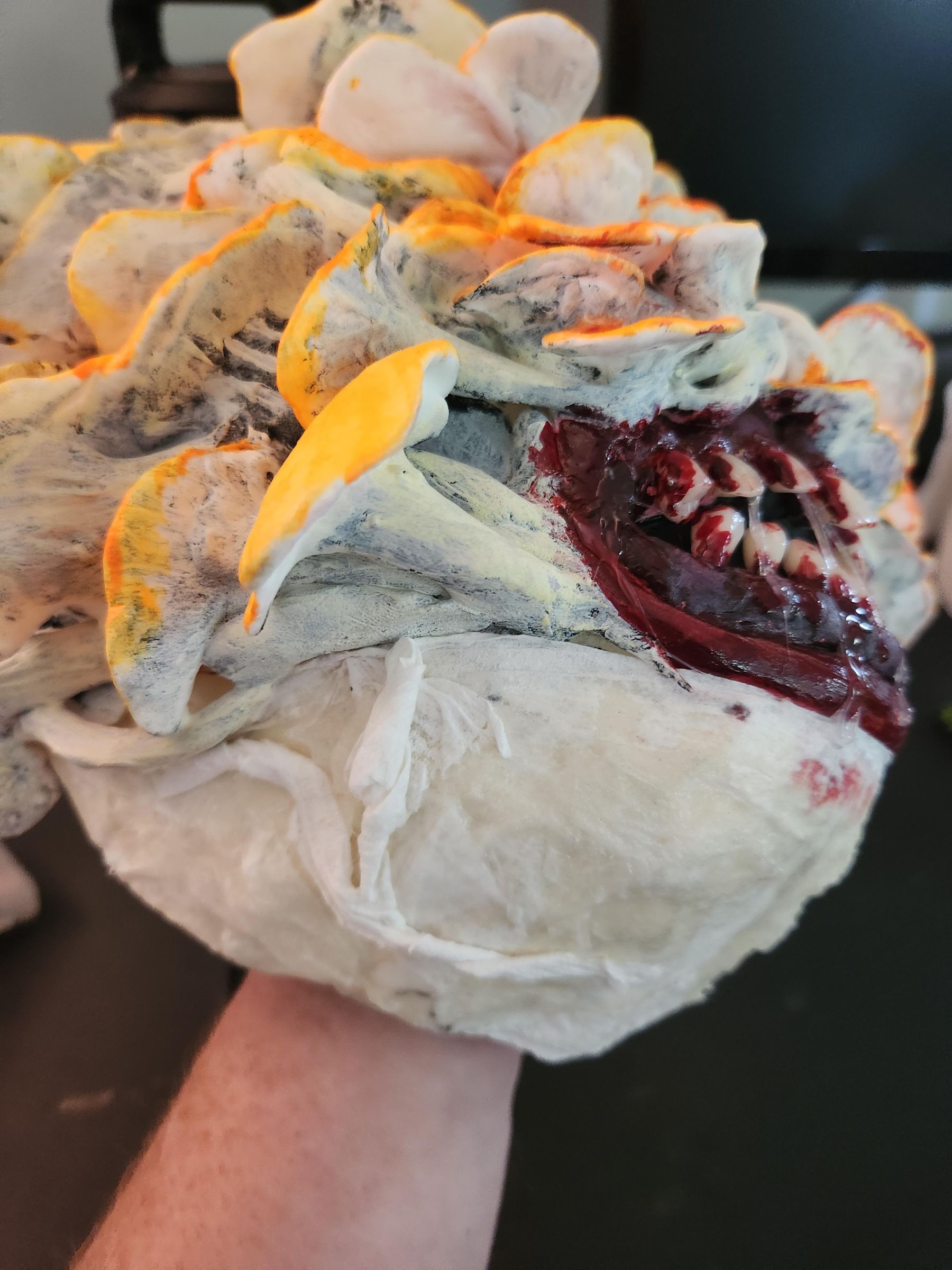 The Last of Us Clicker Mask : 13 Steps (with Pictures) - Instructables