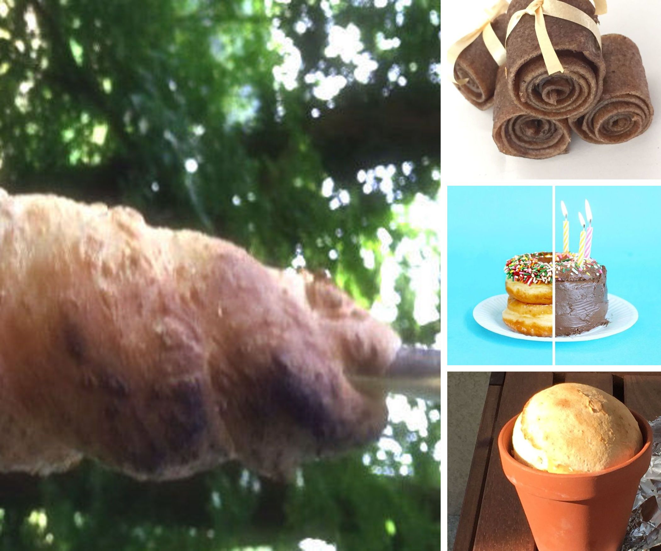 Food - Instructables