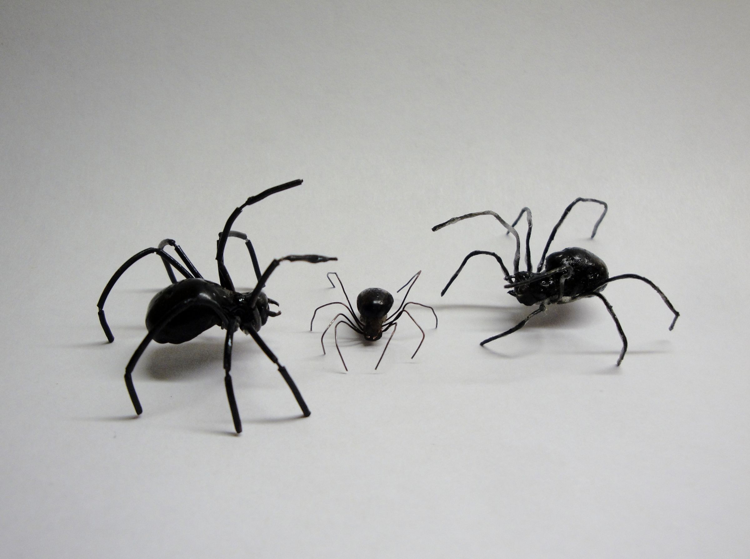 Realistic Spider (Life-Size Prop) : 7 Steps (with Pictures) - Instructables